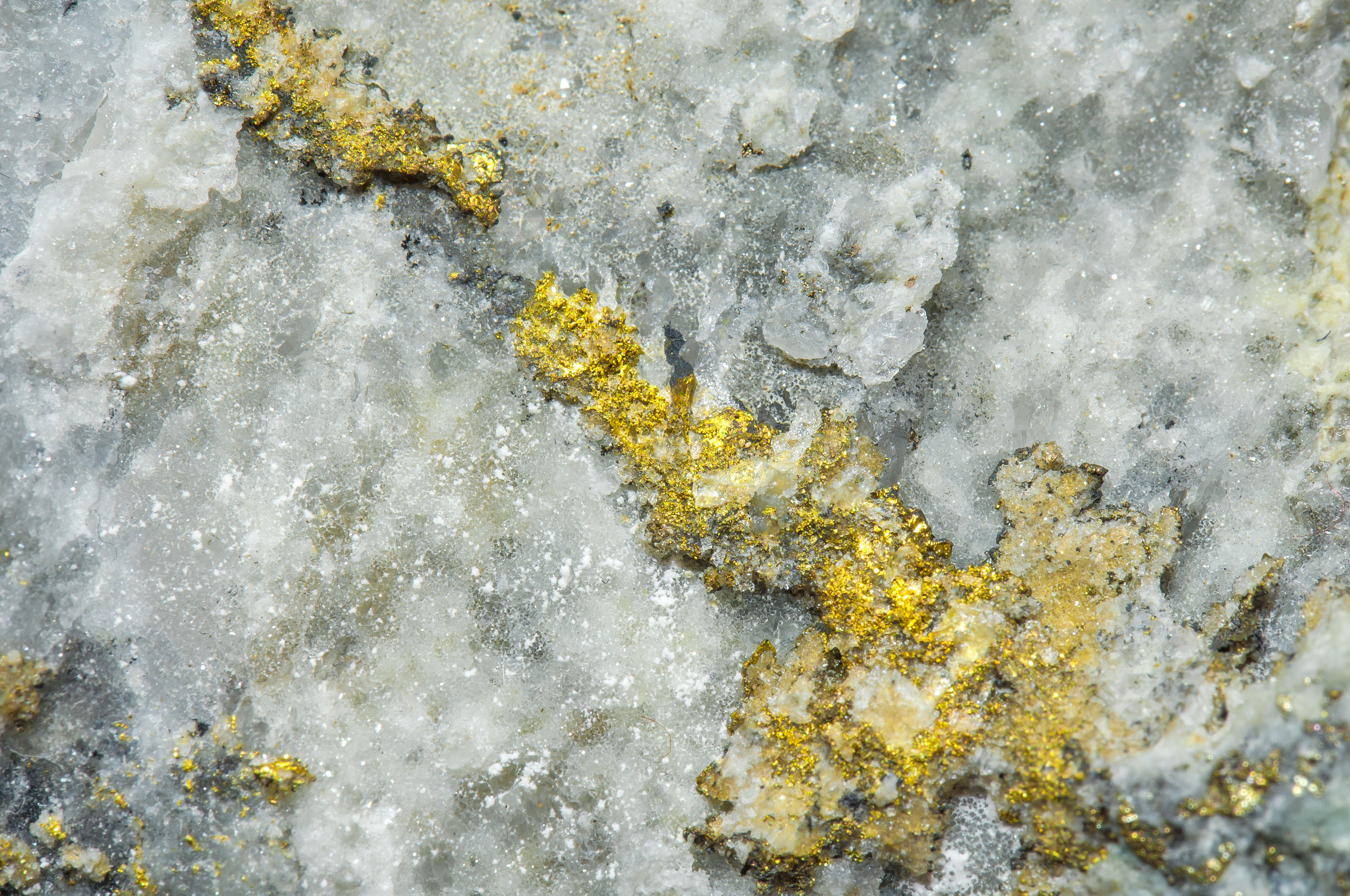 Gold on Calcite - Municipio Vetas, Soto Province, Santander Department ...