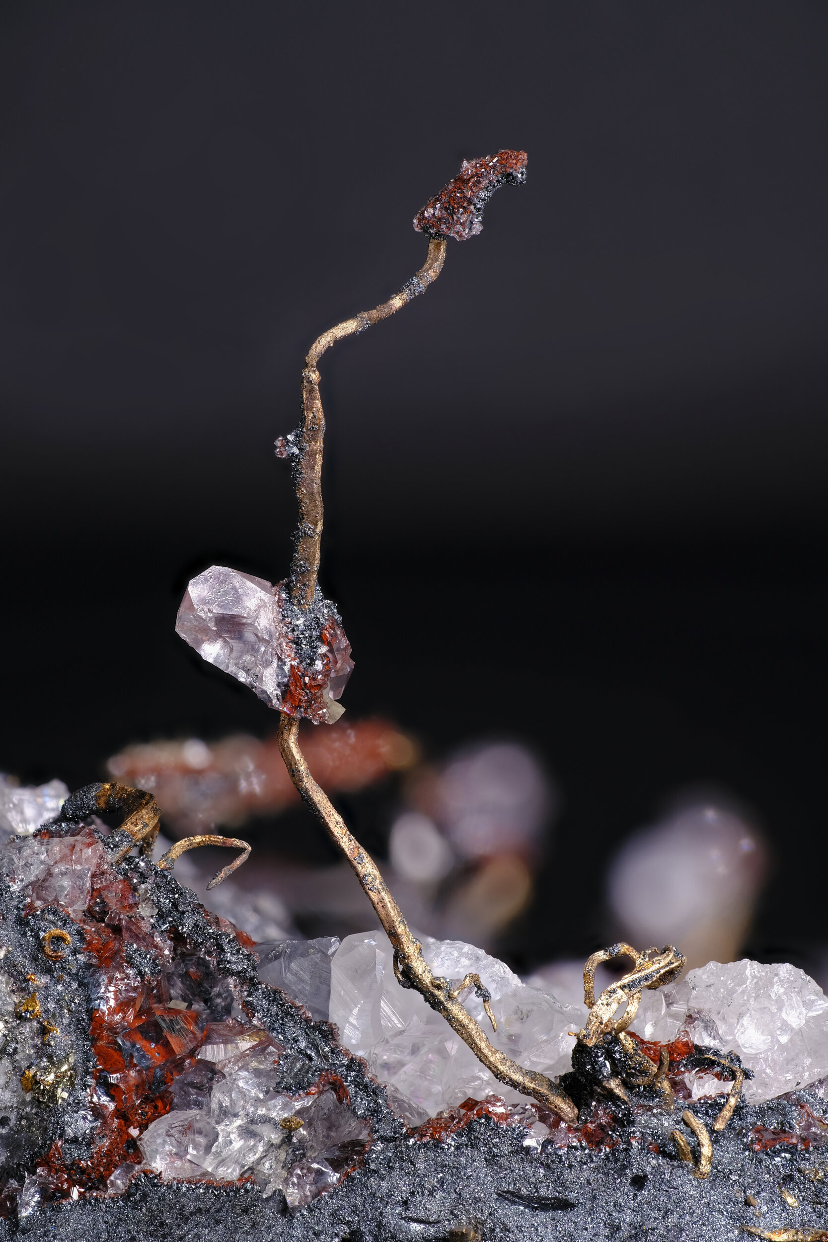 Silver with Rhodochrosite and Acanthite, Quartz, Calcite - Uchucchacua ...