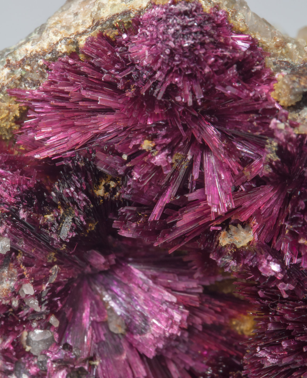 Erythrite with Phlogopite and Quartz - Tazalarht mining area, Taroudant ...