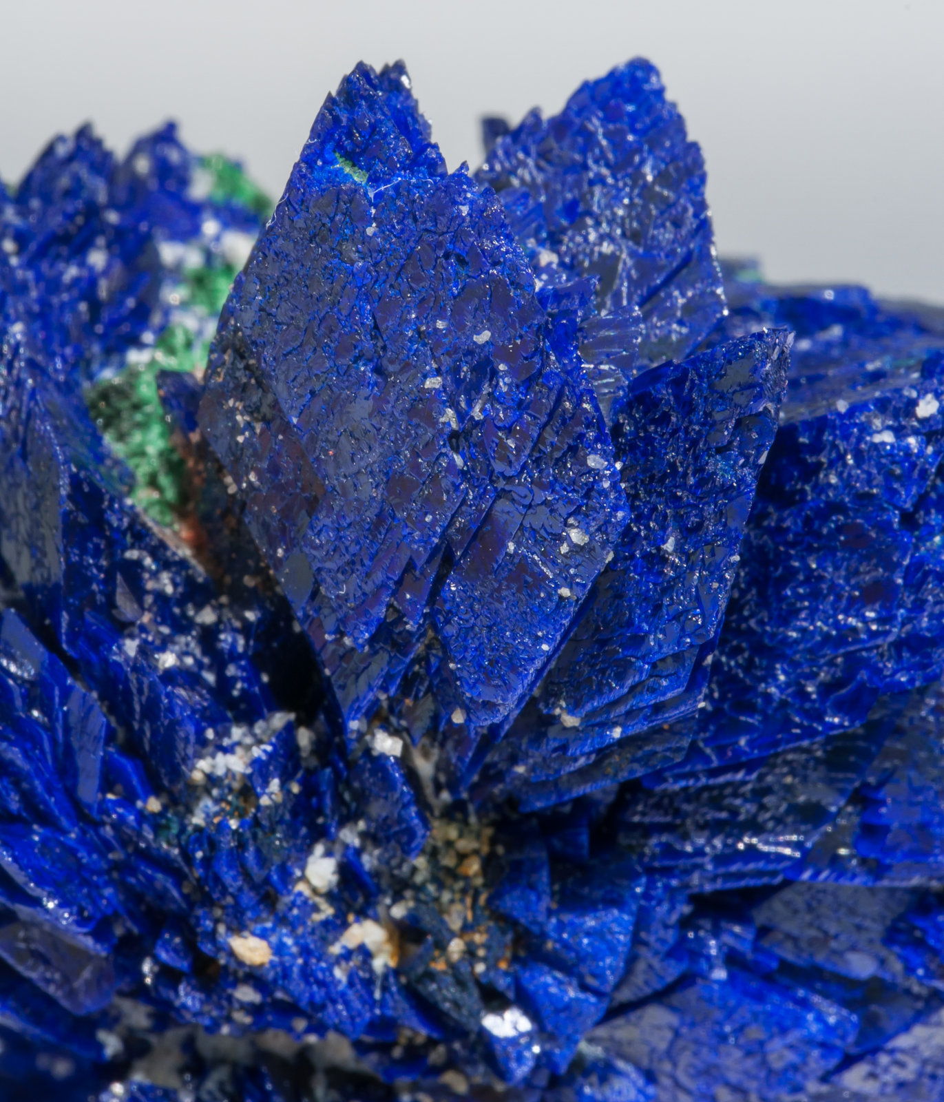Azurite with Malachite and Baryte - Oumjrane mining area, Alnif Commune ...
