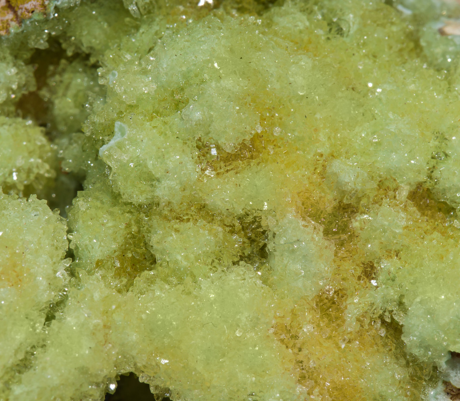 Senegalite with Turquoise and Crandallite - Kourou Diakouma Mount ...