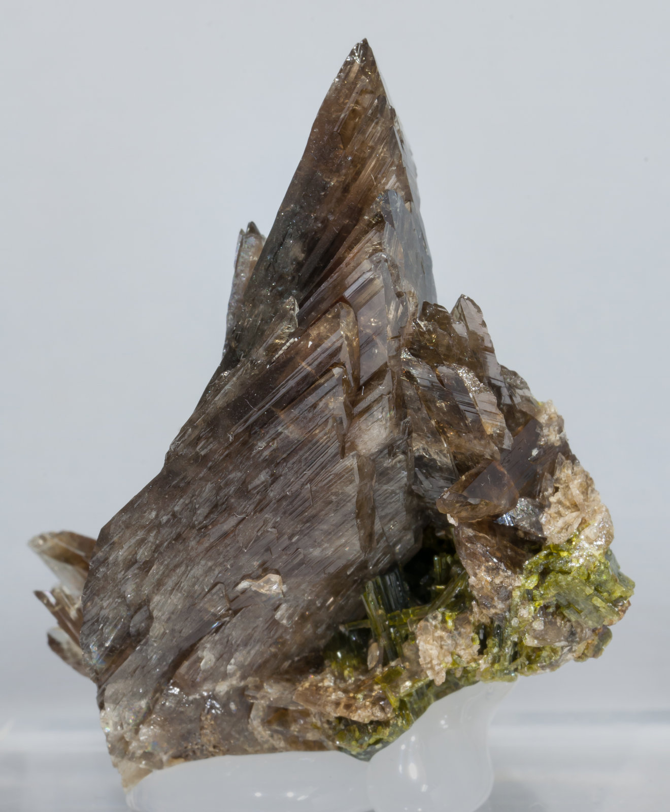Axinite-(Mn) with Epidote - Cullhuay, Huaros District, Canta Province ...