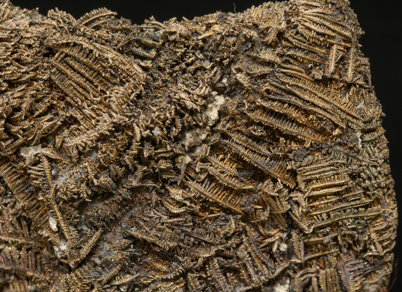 Silver with Arsenic - Schlema-Hartenstein District, Erzgebirgskreis ...