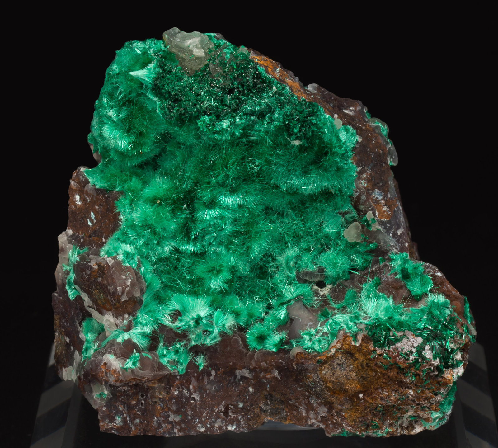 Brochantite with Atacamite and Quartz (variety chalcedony) - Los Azules ...