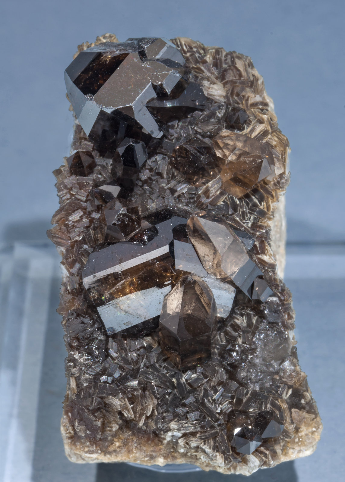 Cassiterite with Muscovite and Quartz (variety smoky) - Merekski ...