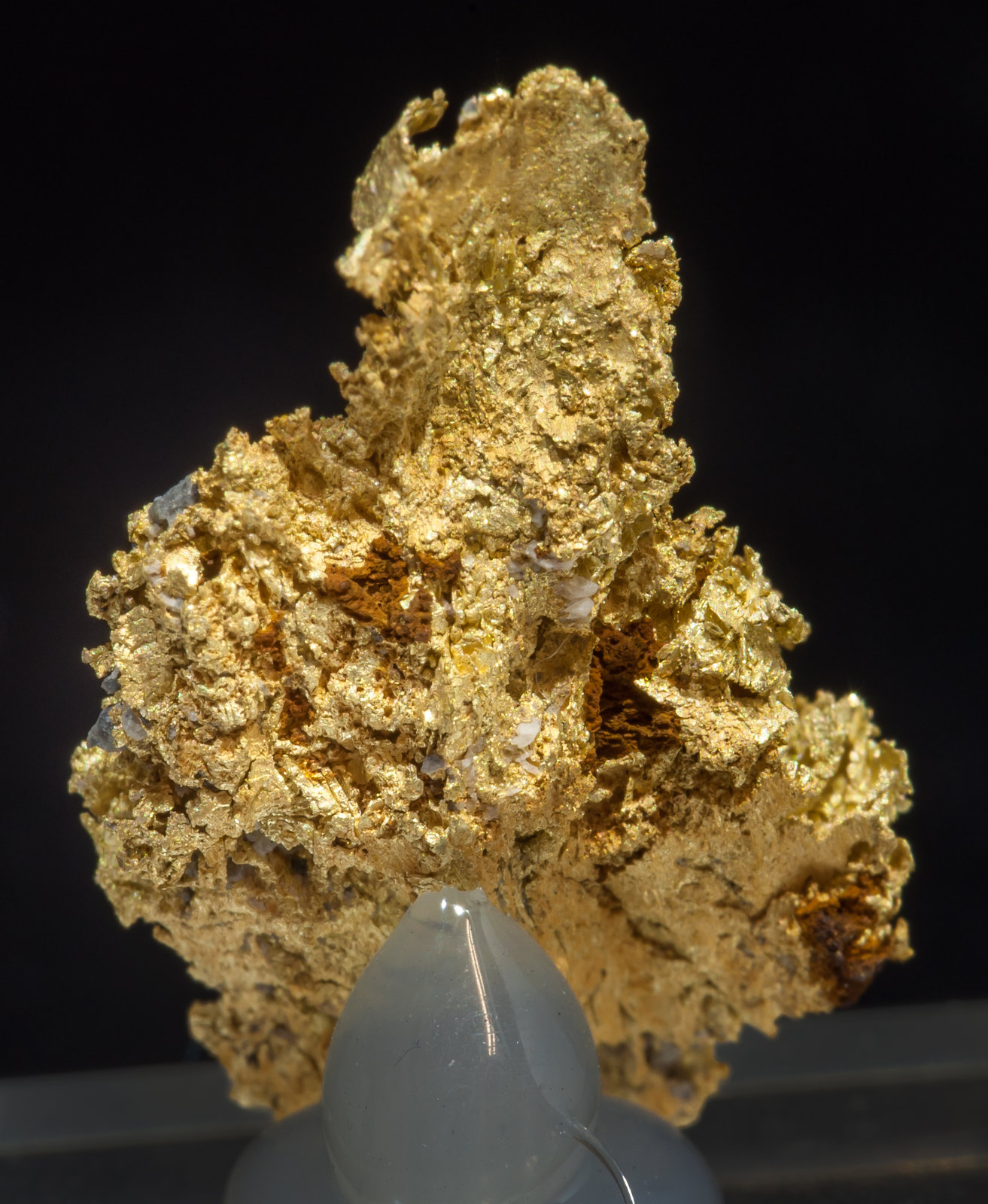 Gold (variety electrum) - R.J. Roberts lode, Willow Creek District ...