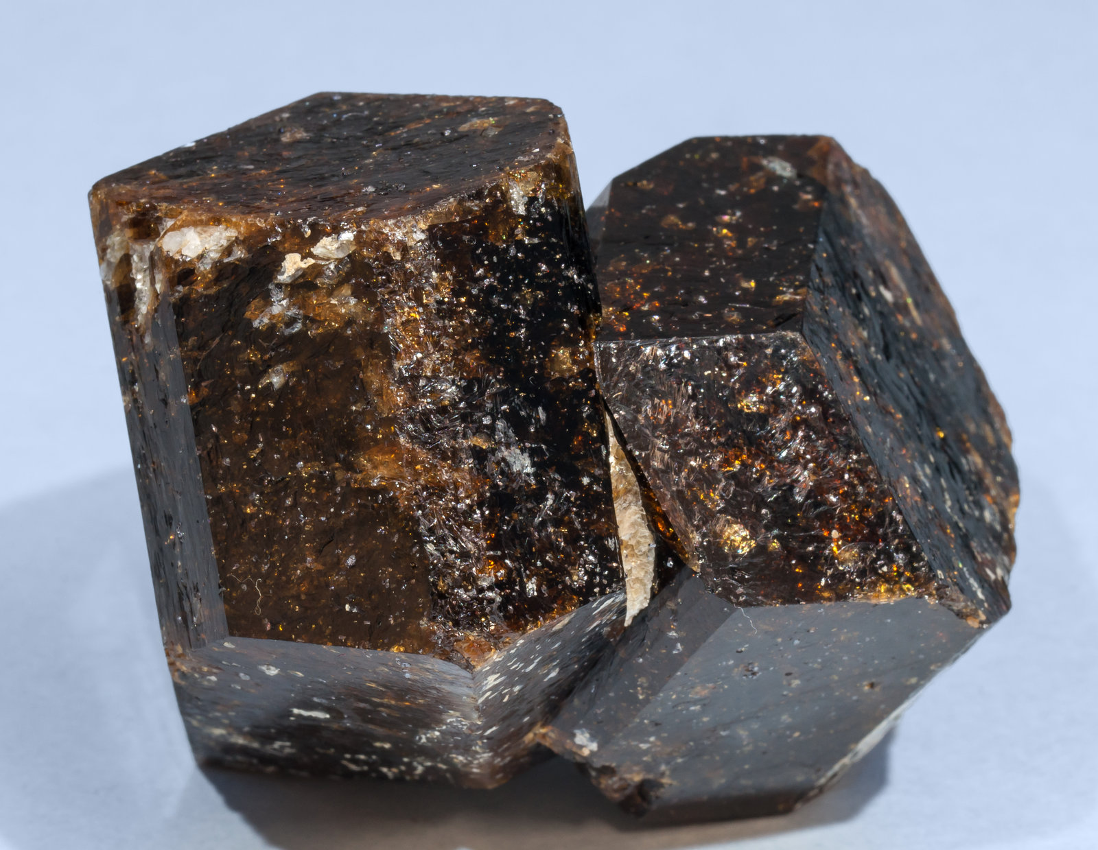 Dravite with Muscovite - Yinnietharra Station, Yinnietharra, Upper ...