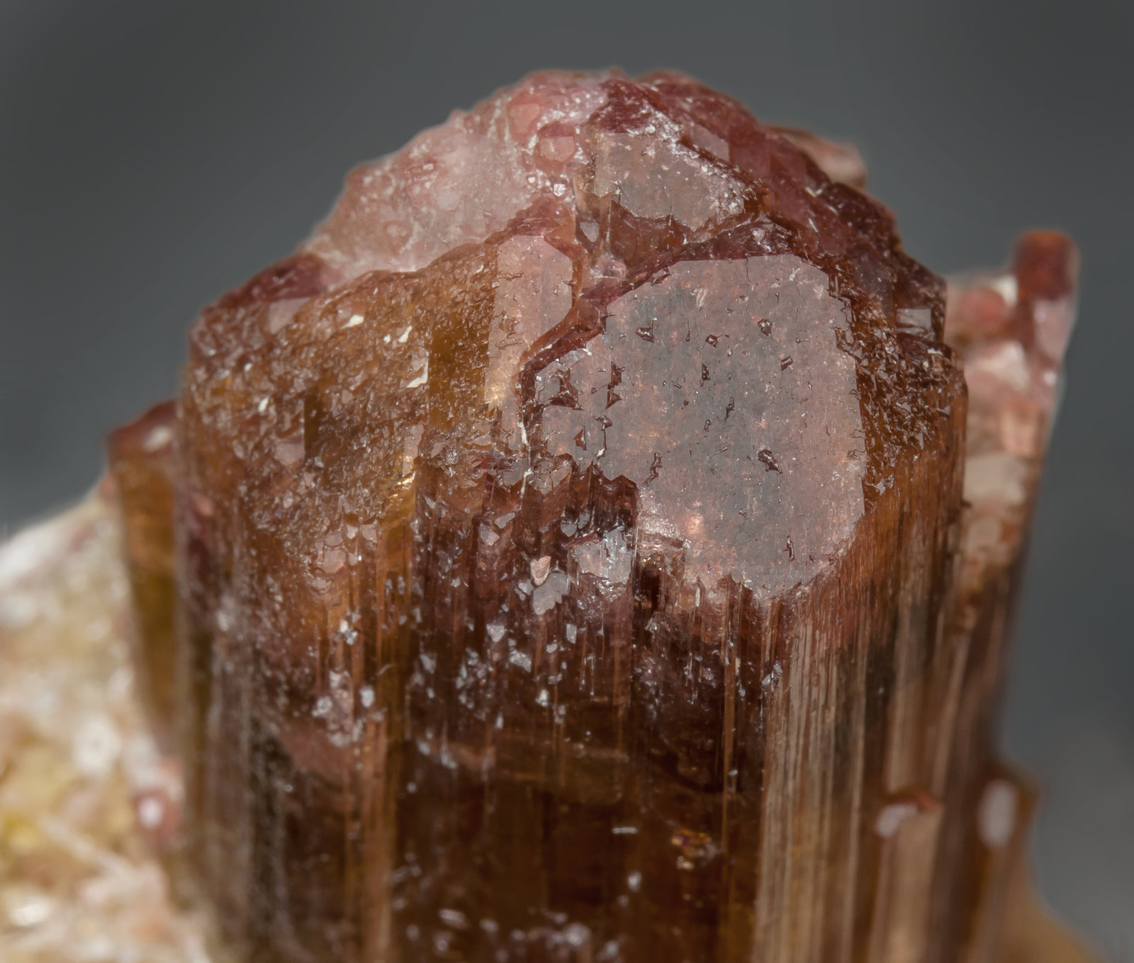 Elbaite (variety rubellite) - Malkhan (Malchan), Krasnyi Chikoy ...