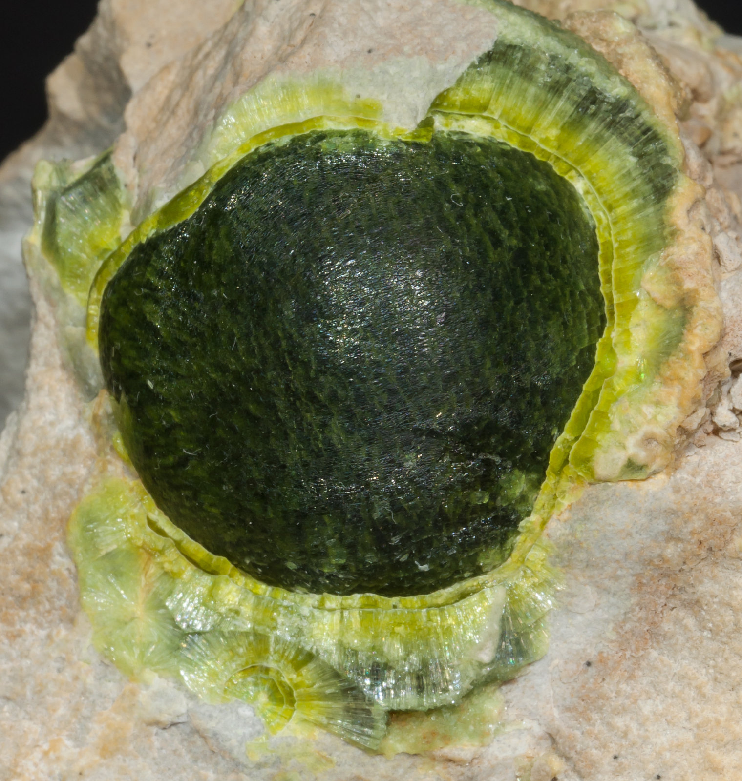 Wavellite - Montgomery County, Arkansas USA | Fabre Minerals
