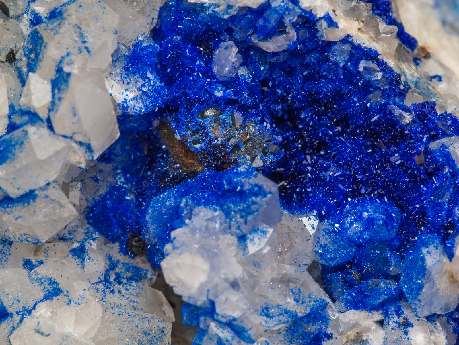 Azurite on Quartz - Llamas Quarry, Obdulia vein, Caravia mining area ...