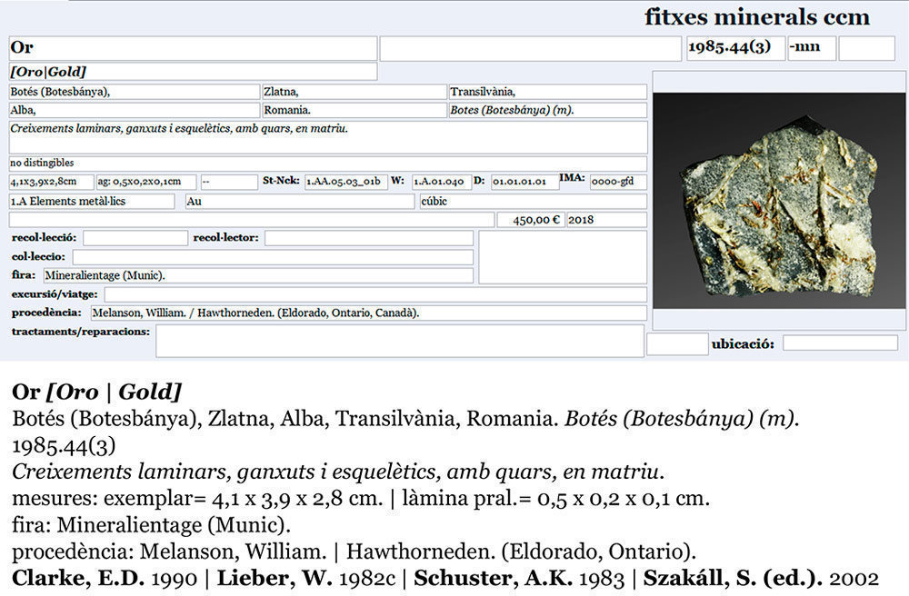 Gold with Quartz - Botes (Botești), Zlatna, Alba, Transylvania Romania ...