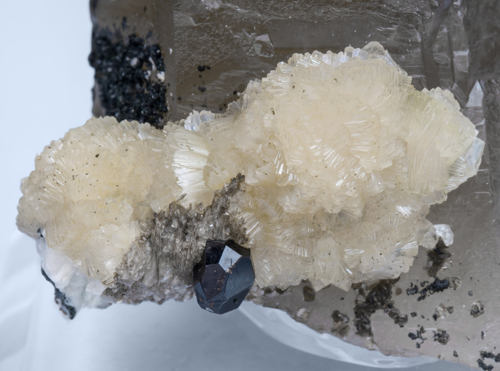 Bavenite with Quartz (variety smoky), Spessartine, Clinochlore and ...