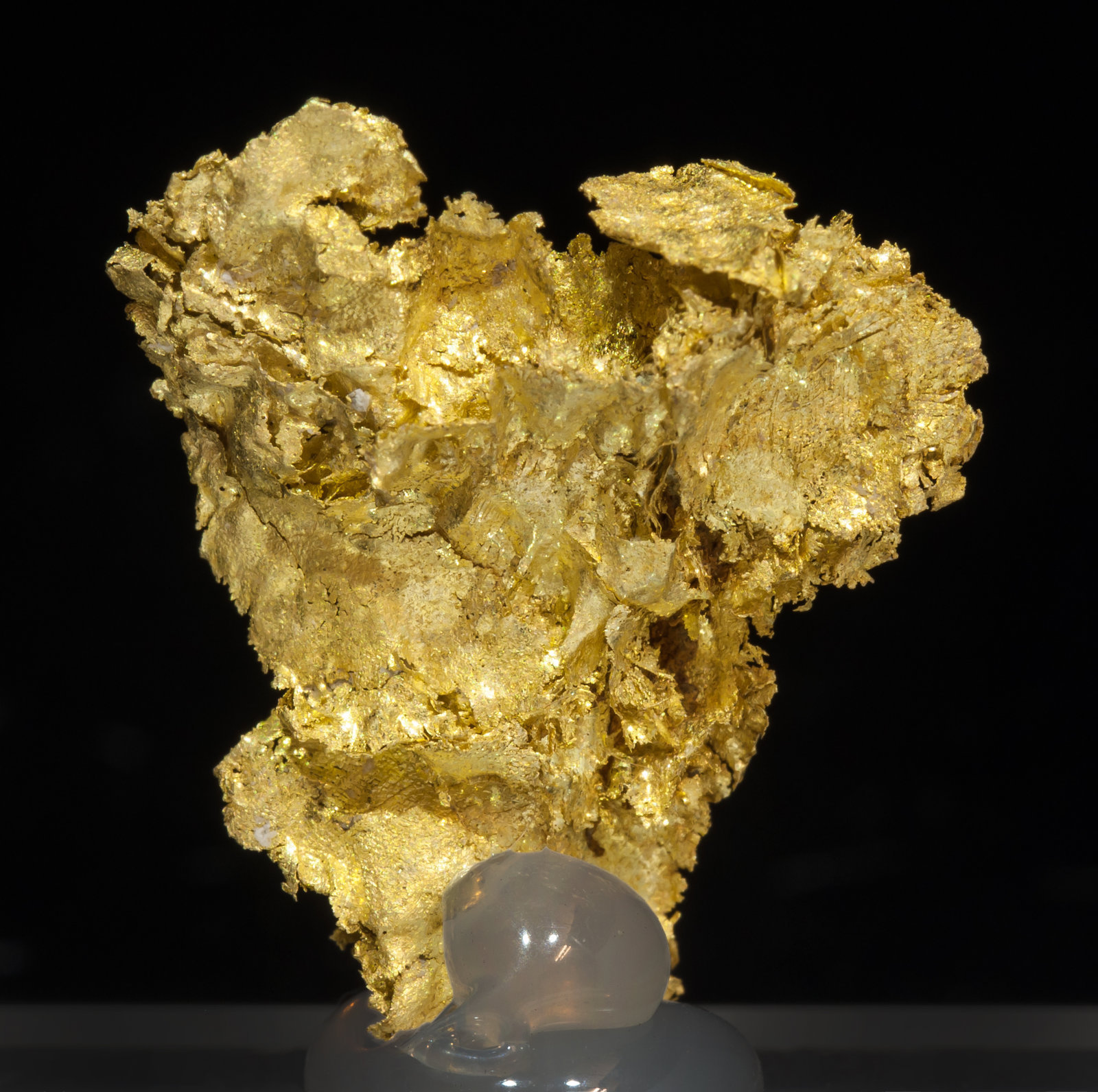Gold (variety electrum) - R.J. Roberts lode, Willow Creek District ...