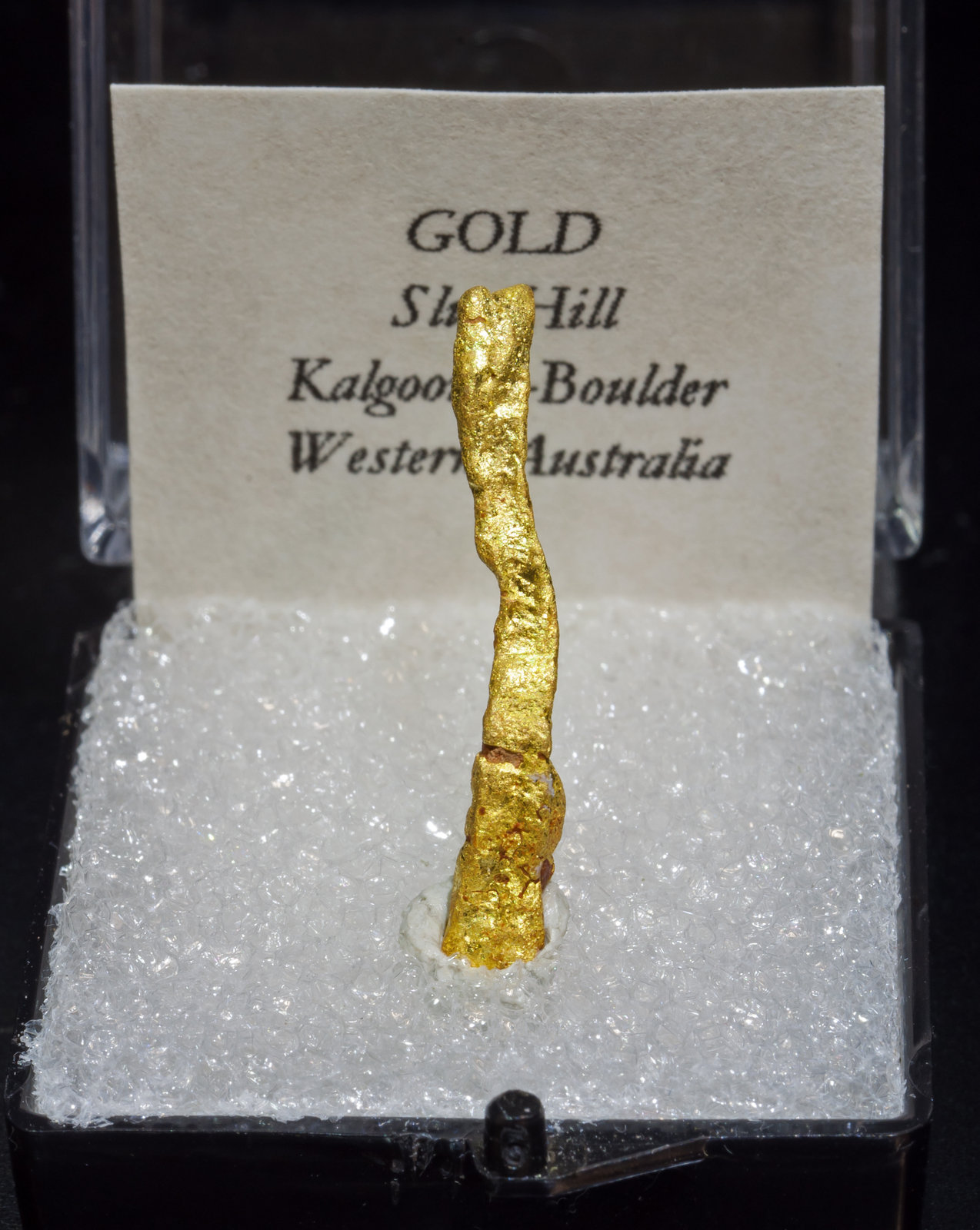 Gold - Slug Hill, Kalgoorlie-Boulder, Kalgoorlie-Boulder Shire, Western ...