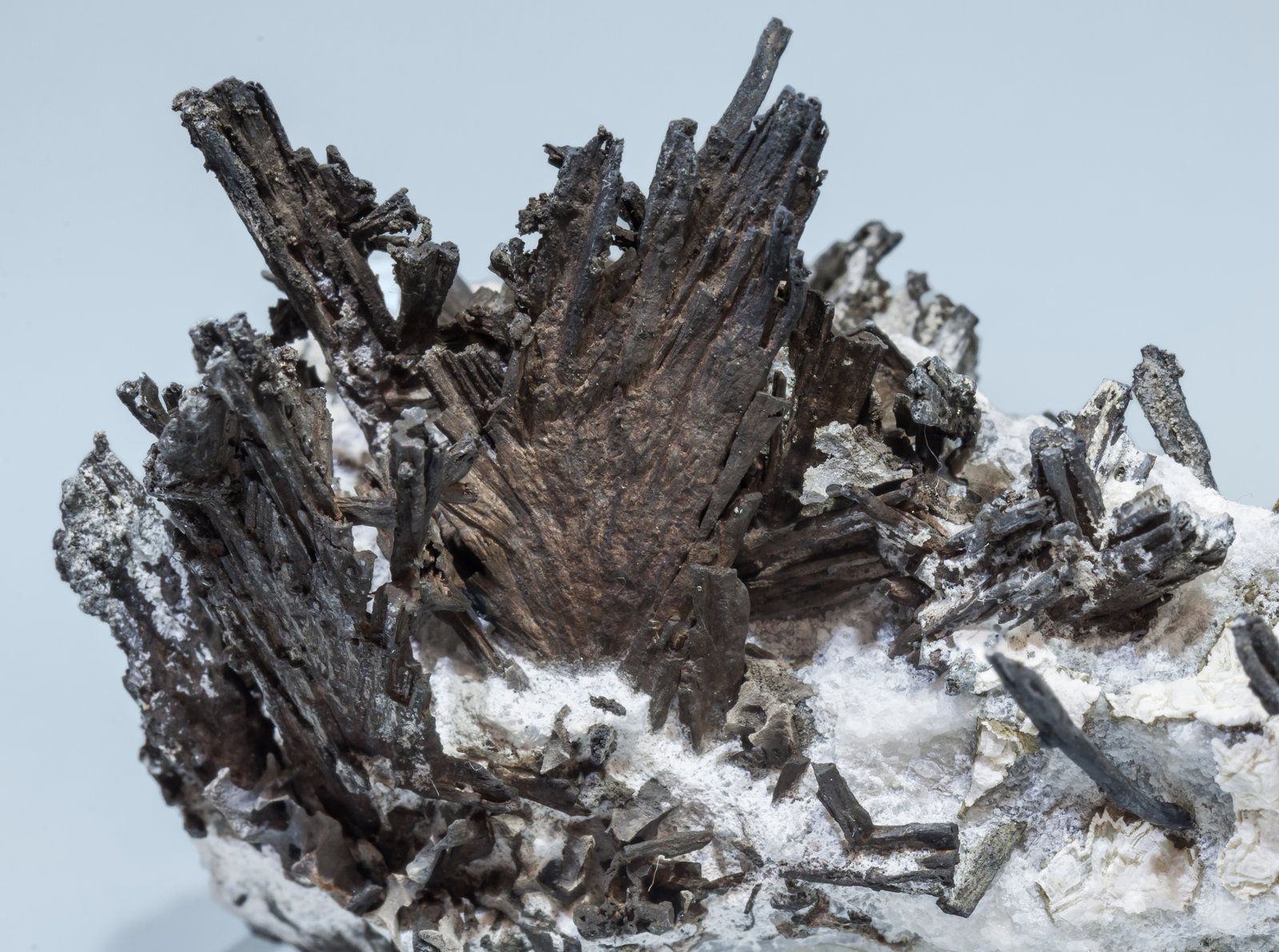 Silver after Dyscrasite - Uranium Mine number 21 (shaft number 21 ...