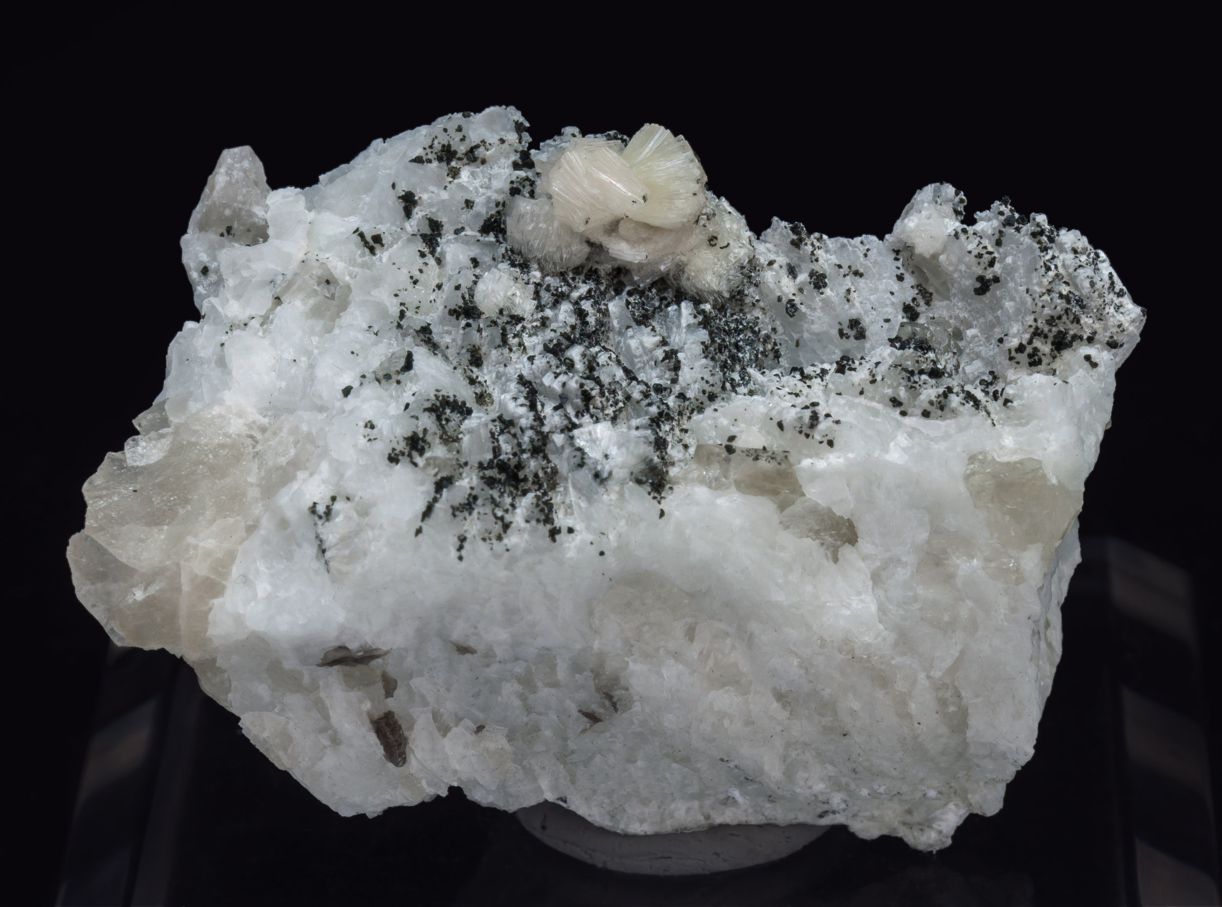 Bavenite with Albite and Chlorite - Venero I Quarry (Cadalso I Quarry ...