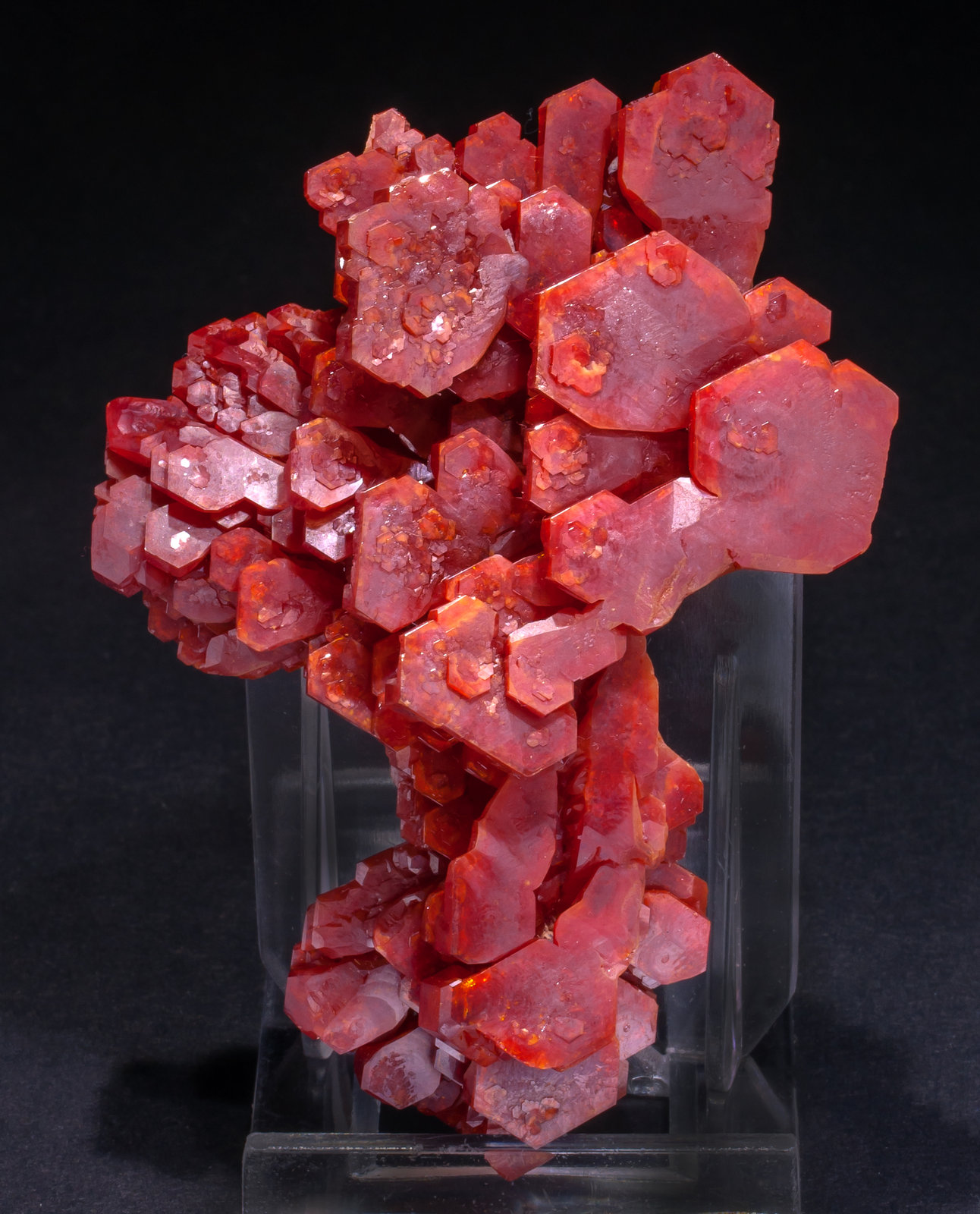 Vanadinite - Mohamedine, Coud'a, Mibladen mining district, Mibladen ...