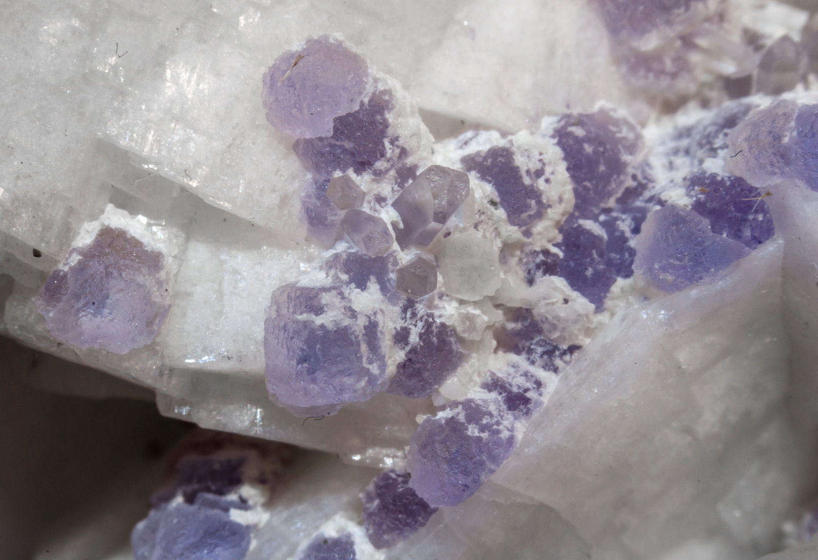 Fluorite with Quartz and Feldspar (variety valencianite) - Valenciana ...