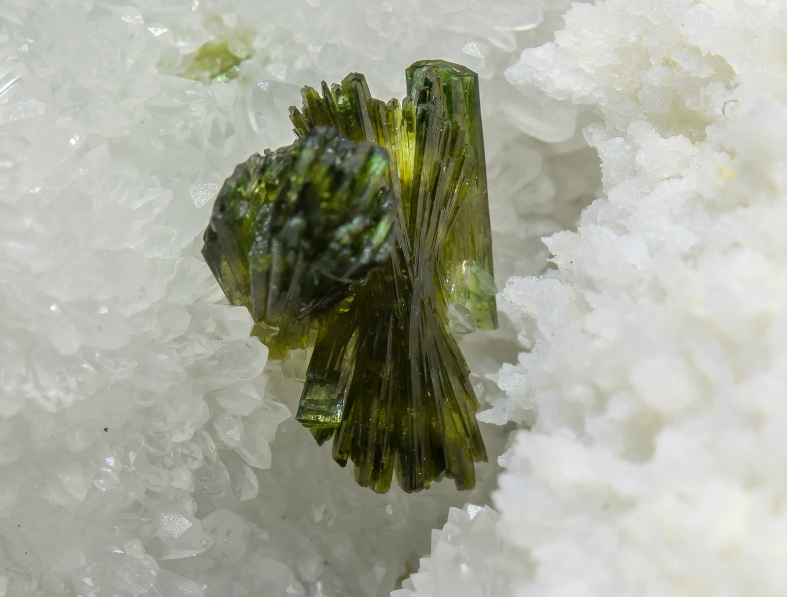Calcite (variety kanonenspat) with Epidote - Jebel Masker, Imilchil ...