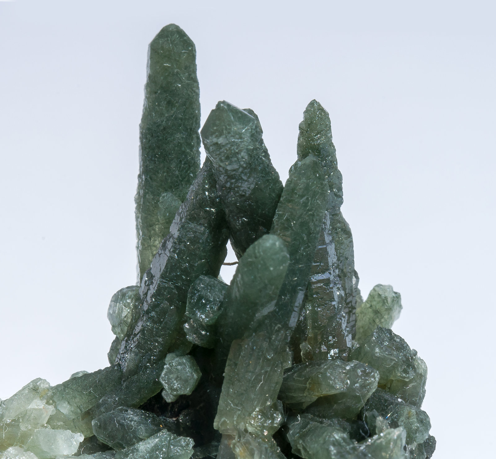 Quartz (variety prase) - Porto Azzurro, Elba Island, Livorno Province ...