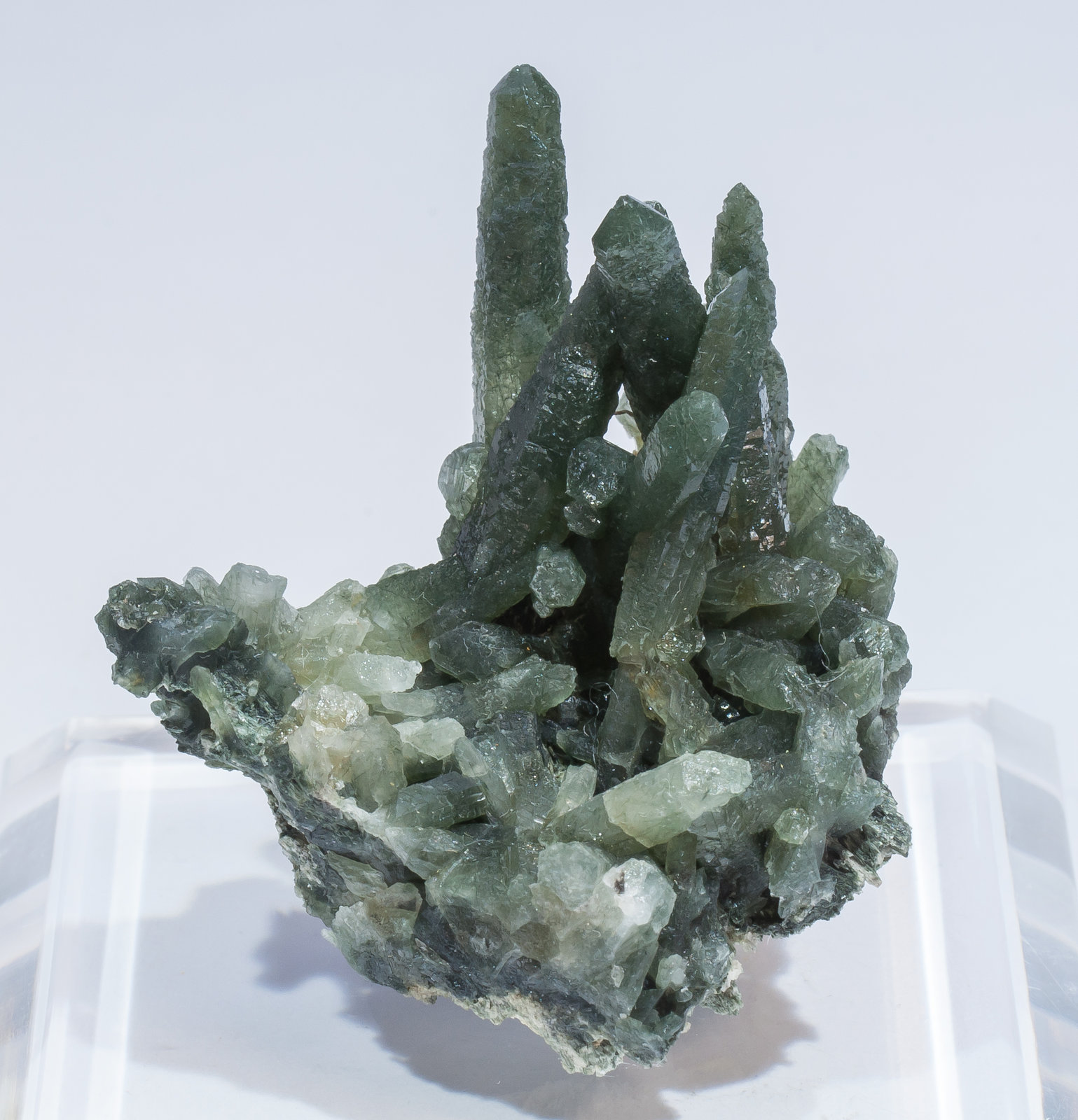 Quartz (variety prase) - Porto Azzurro, Elba Island, Livorno Province ...