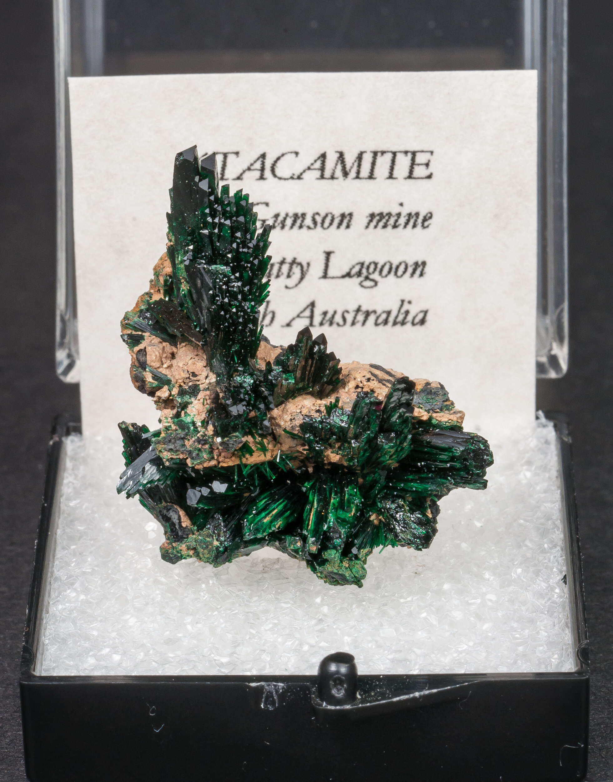 Atacamite - Mount Gunson Copper mines, Pernatty Lagoon, Stuart Shelf ...