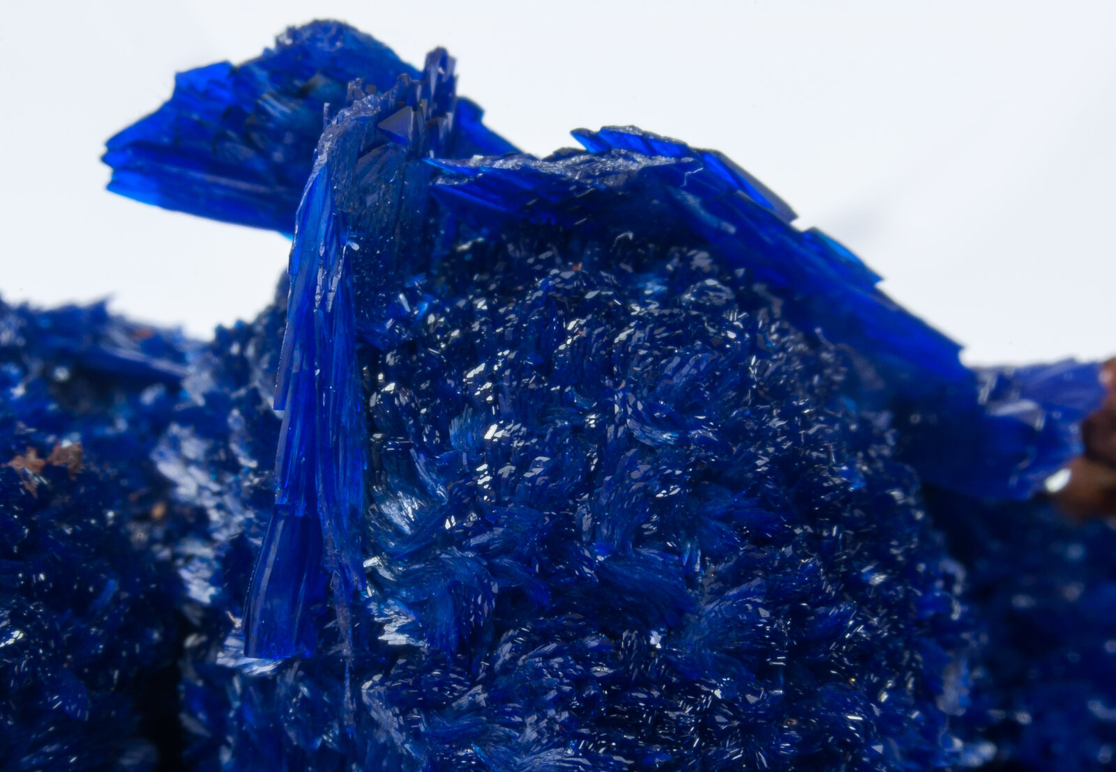 Azurite with Quartz - Tazalarht mining area, Taroudant Province, Souss ...