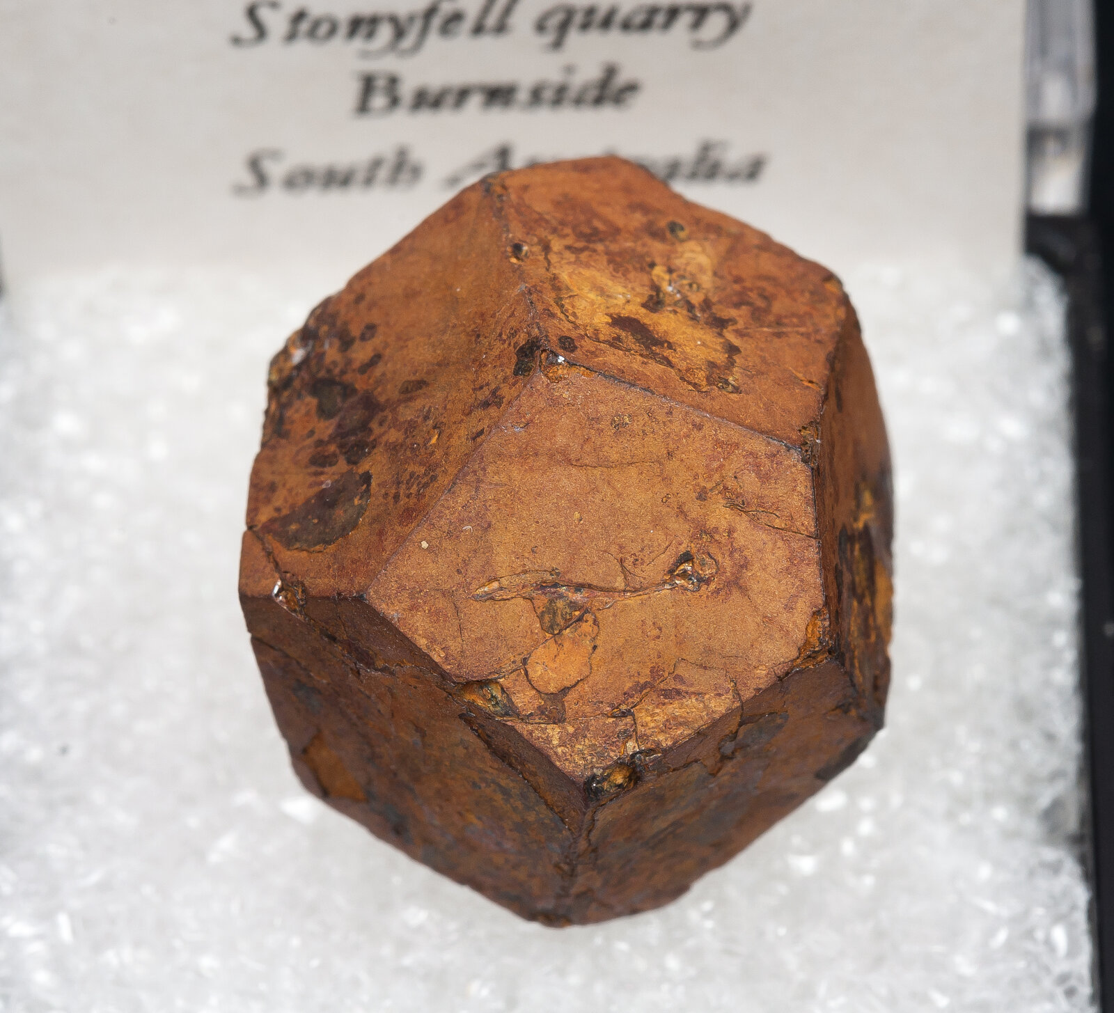 Goethite after Pyrite - Stonyfell Quarry, Stonyfell, South Mount Lofty ...