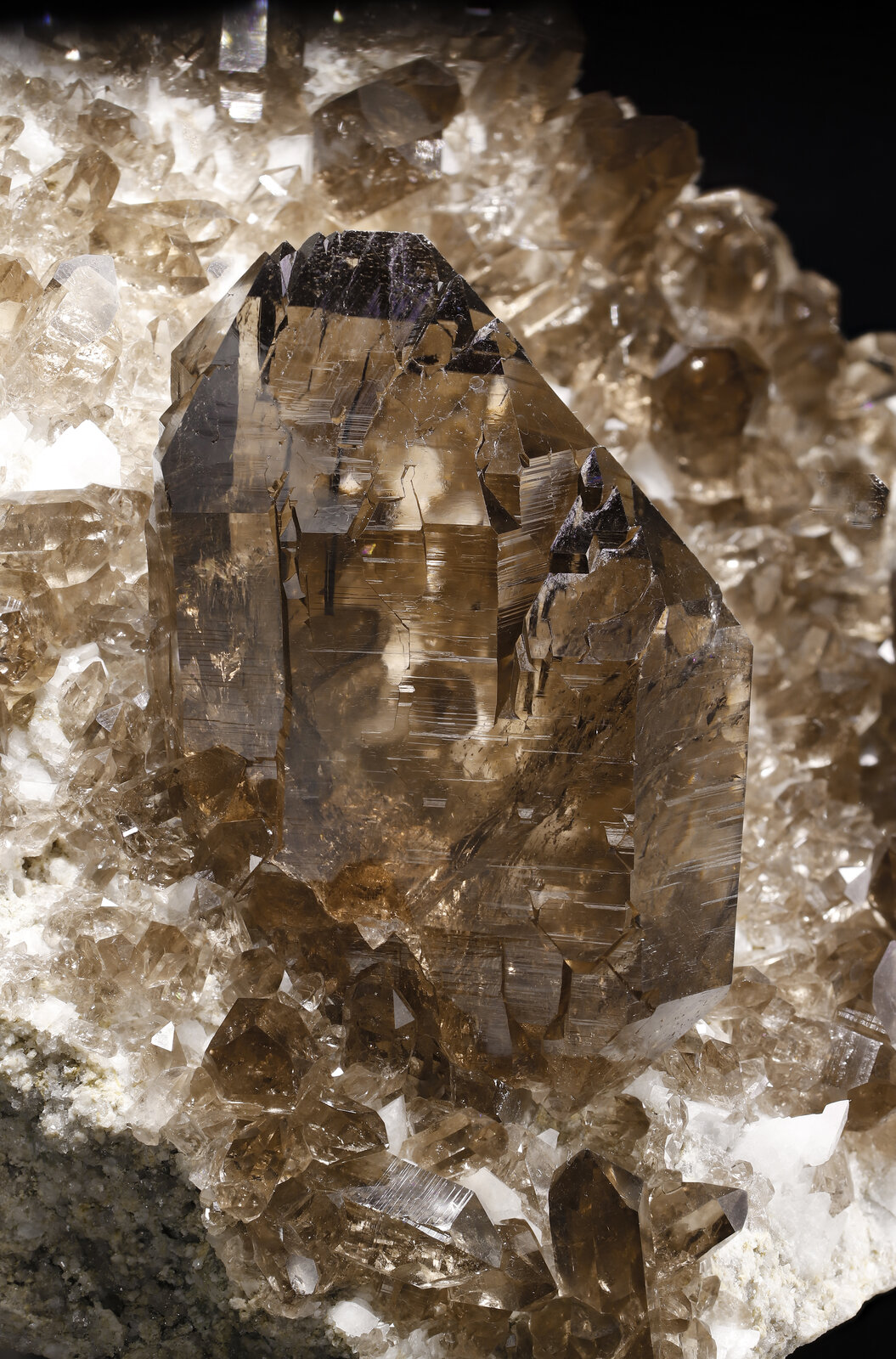 Quartz (smoky & gwindel) with Albite - Grimsel area, Hasli Valley, Bern ...