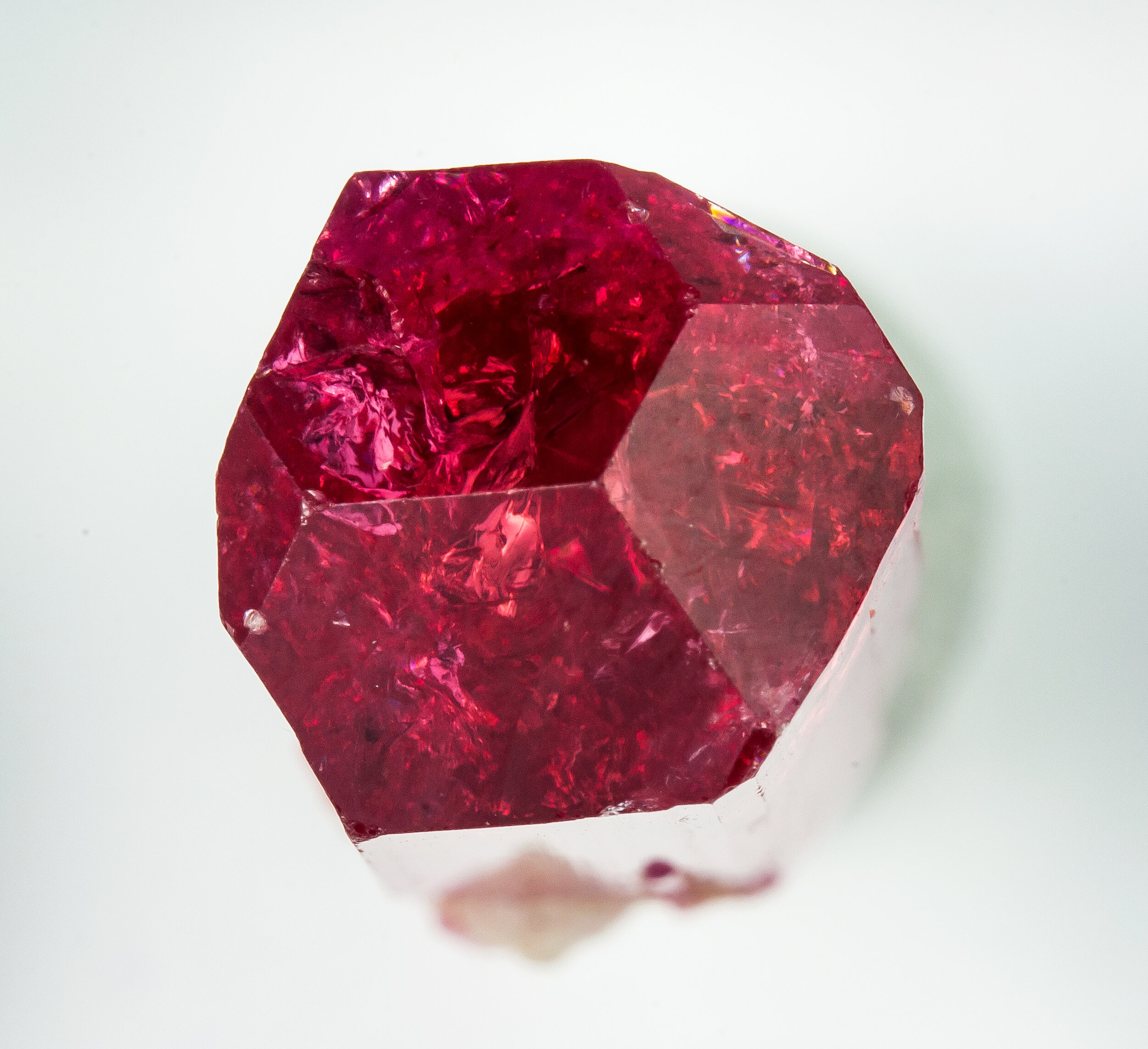 Elbaite (variety rubellite) - Minas Gerais Brazil | Fabre Minerals