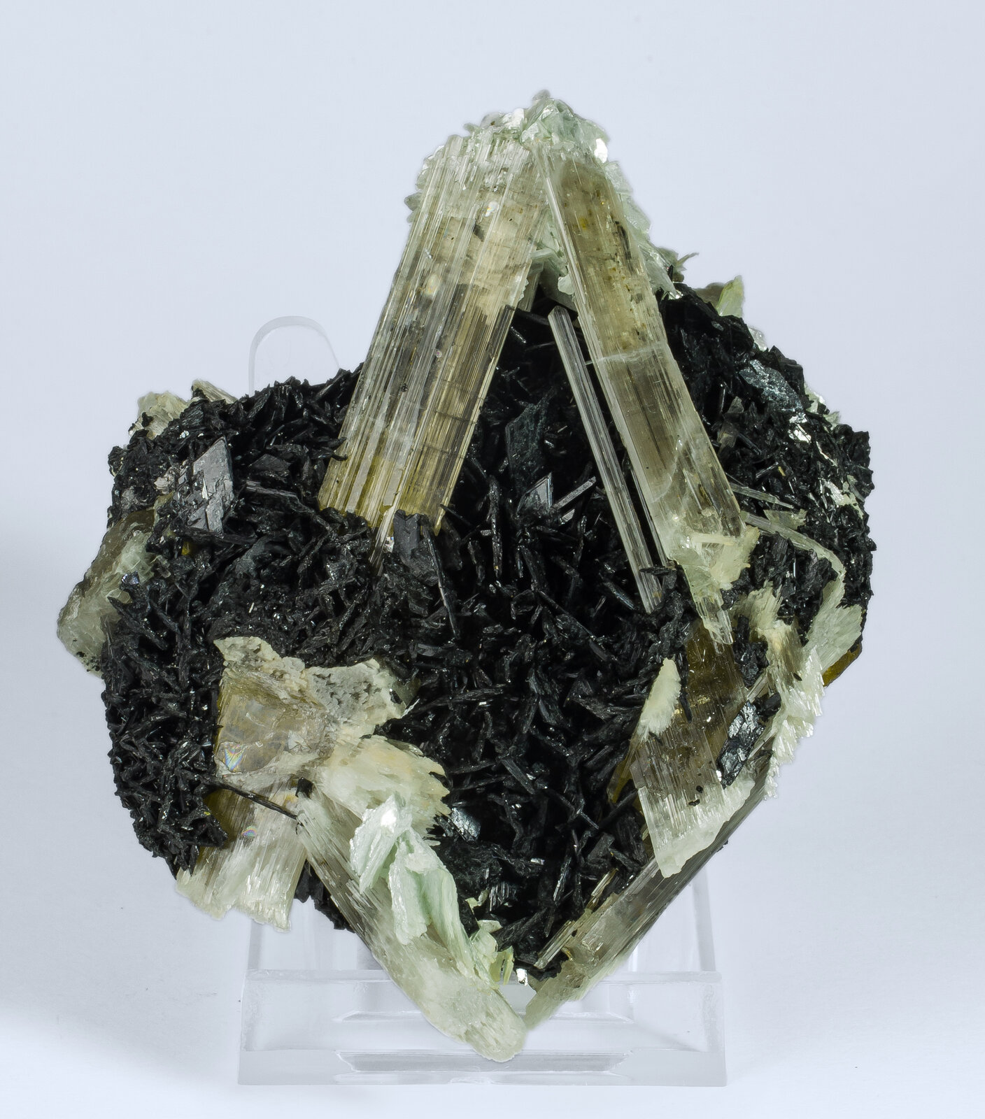 Diaspore on Chloritoid and with Margarite - Pinarcik, Milâs District ...