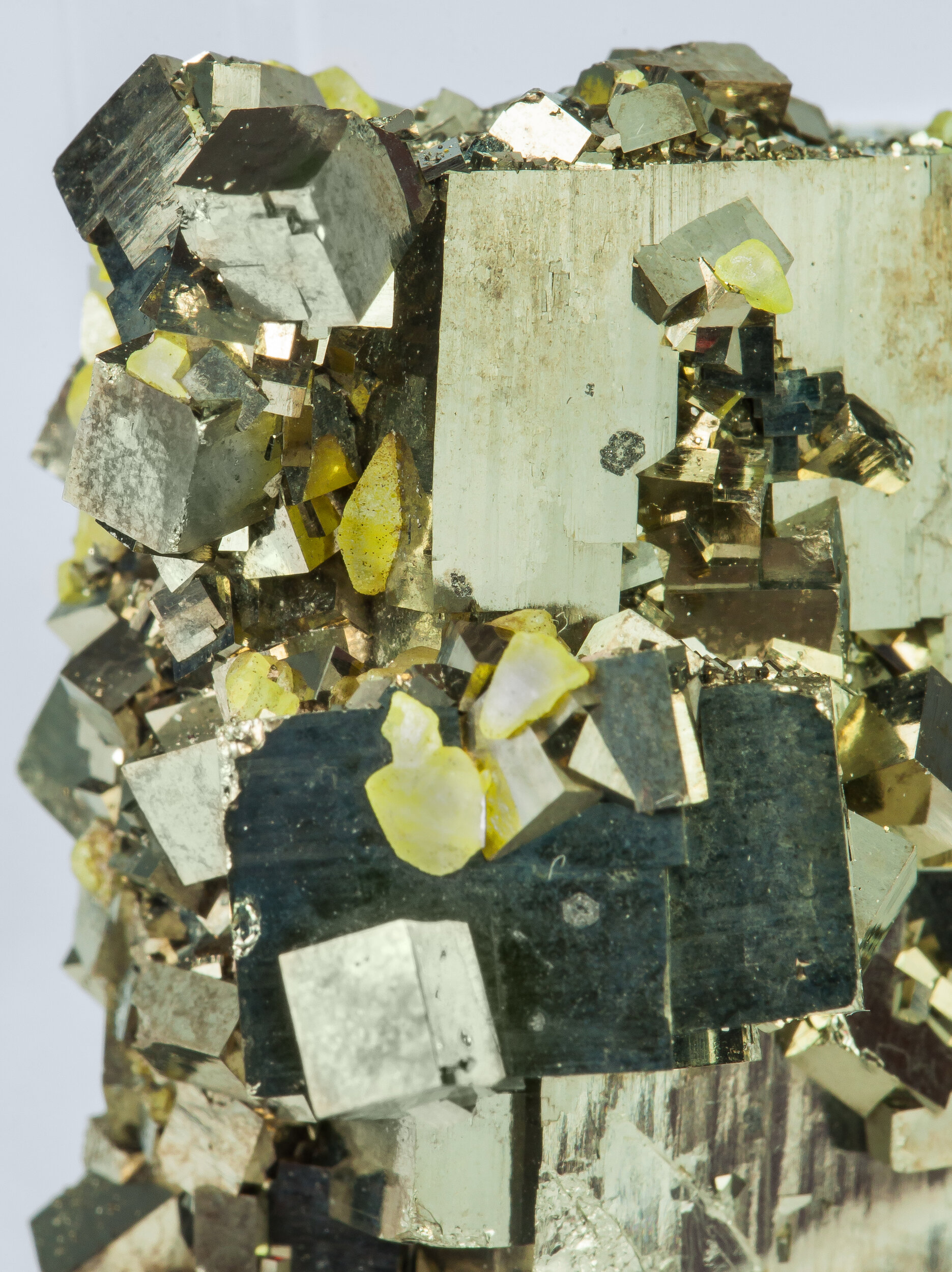 Pyrite with Sulphur - Niccioleta Mine, Massa Marittima, Grosseto ...