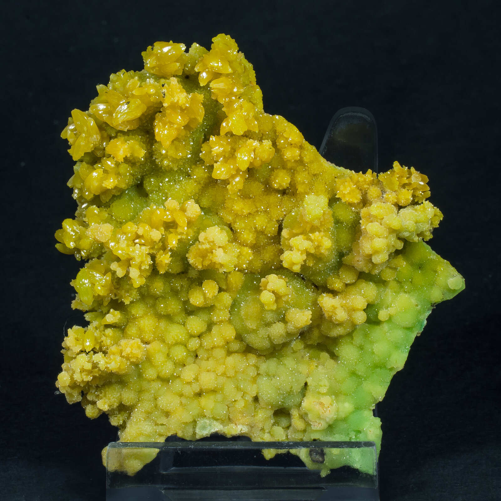 Pyromorphite - M'Fouati Mine, M'Fouati, M'Fouati District, Bouenza ...