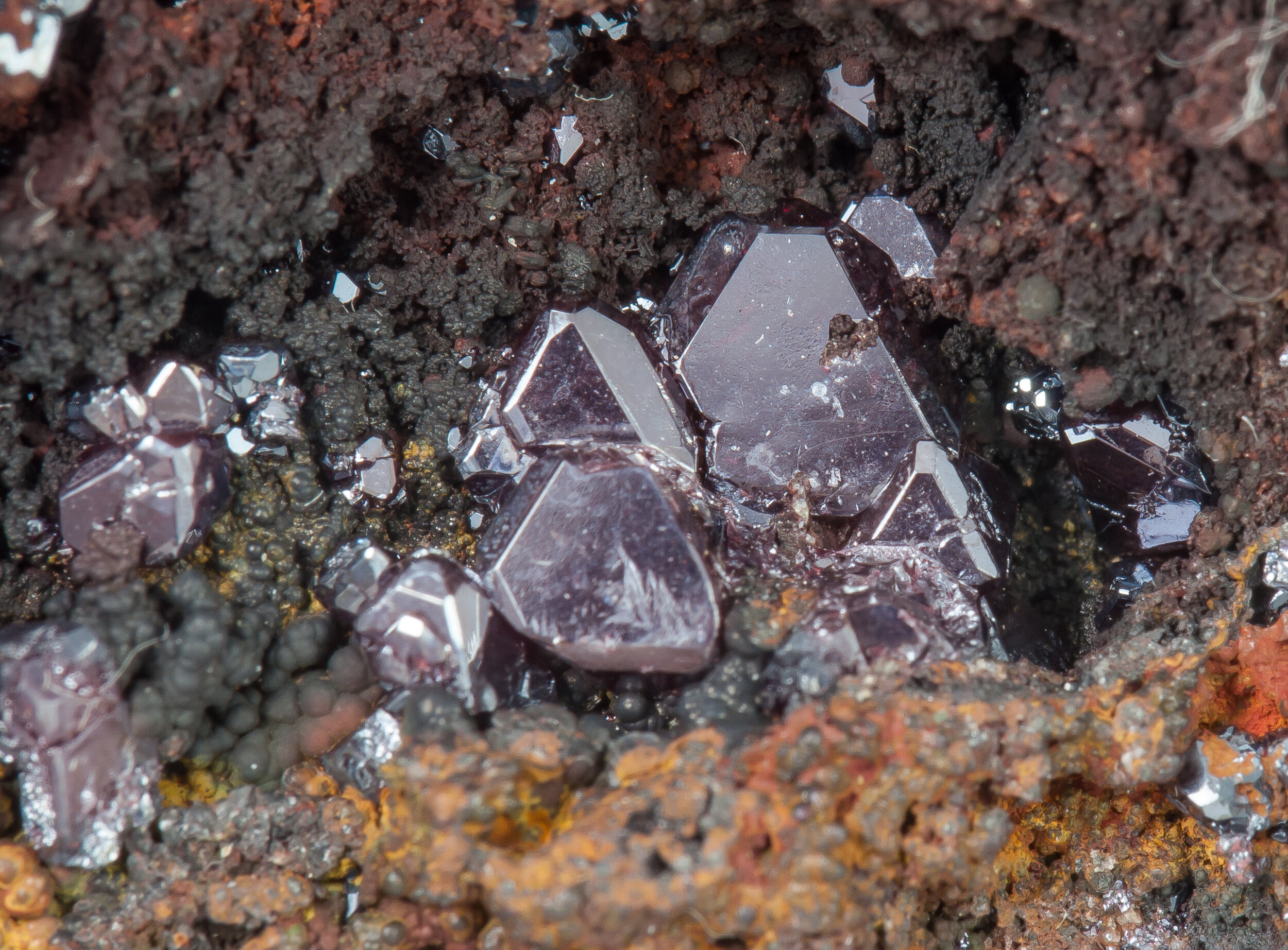 Cuprite - Mont-Roc Mine, Mont-Roc, Castres, Tarn, Occitanie France ...
