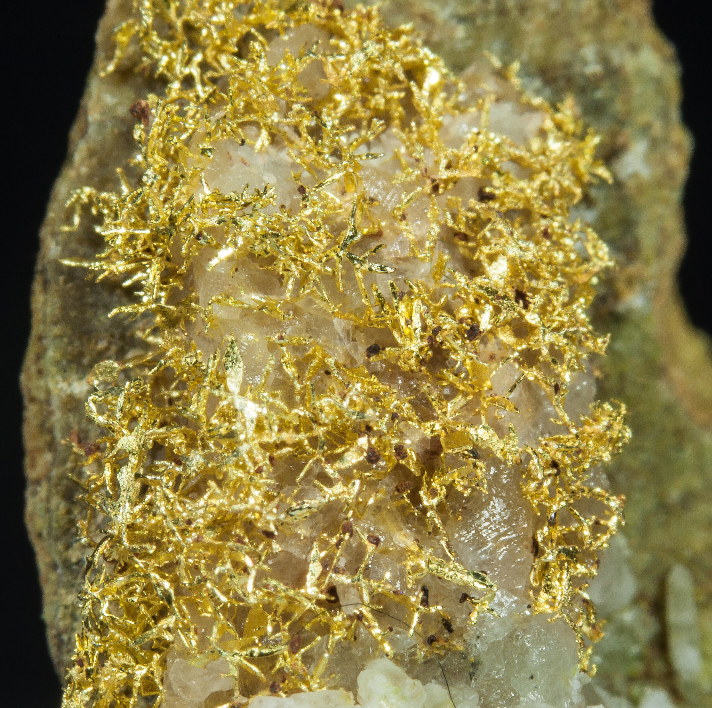 Gold with Quartz - Olinghouse, Olinghouse mining district, Pah Rah ...