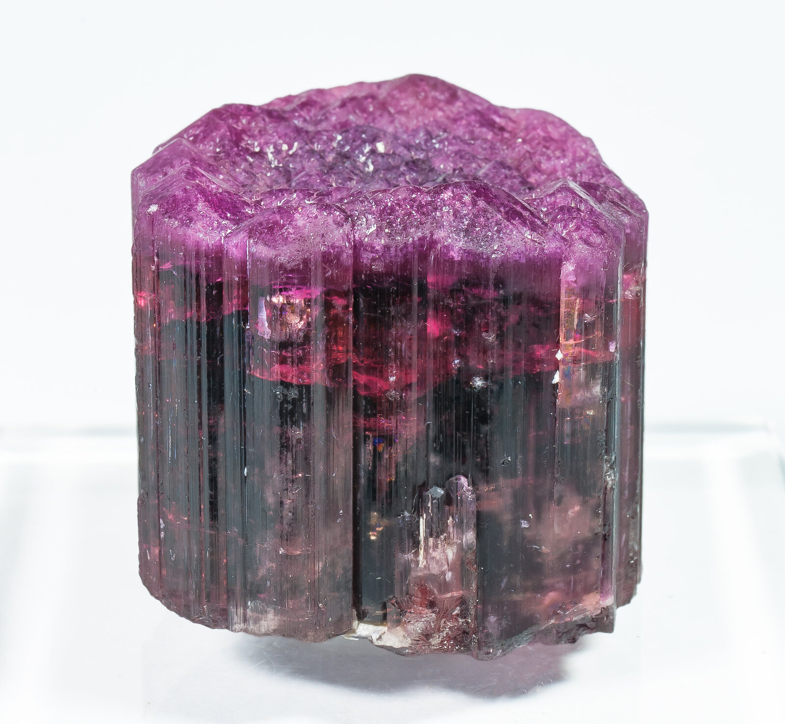 Fluor-liddicoatite - Madagascar | Fabre Minerals