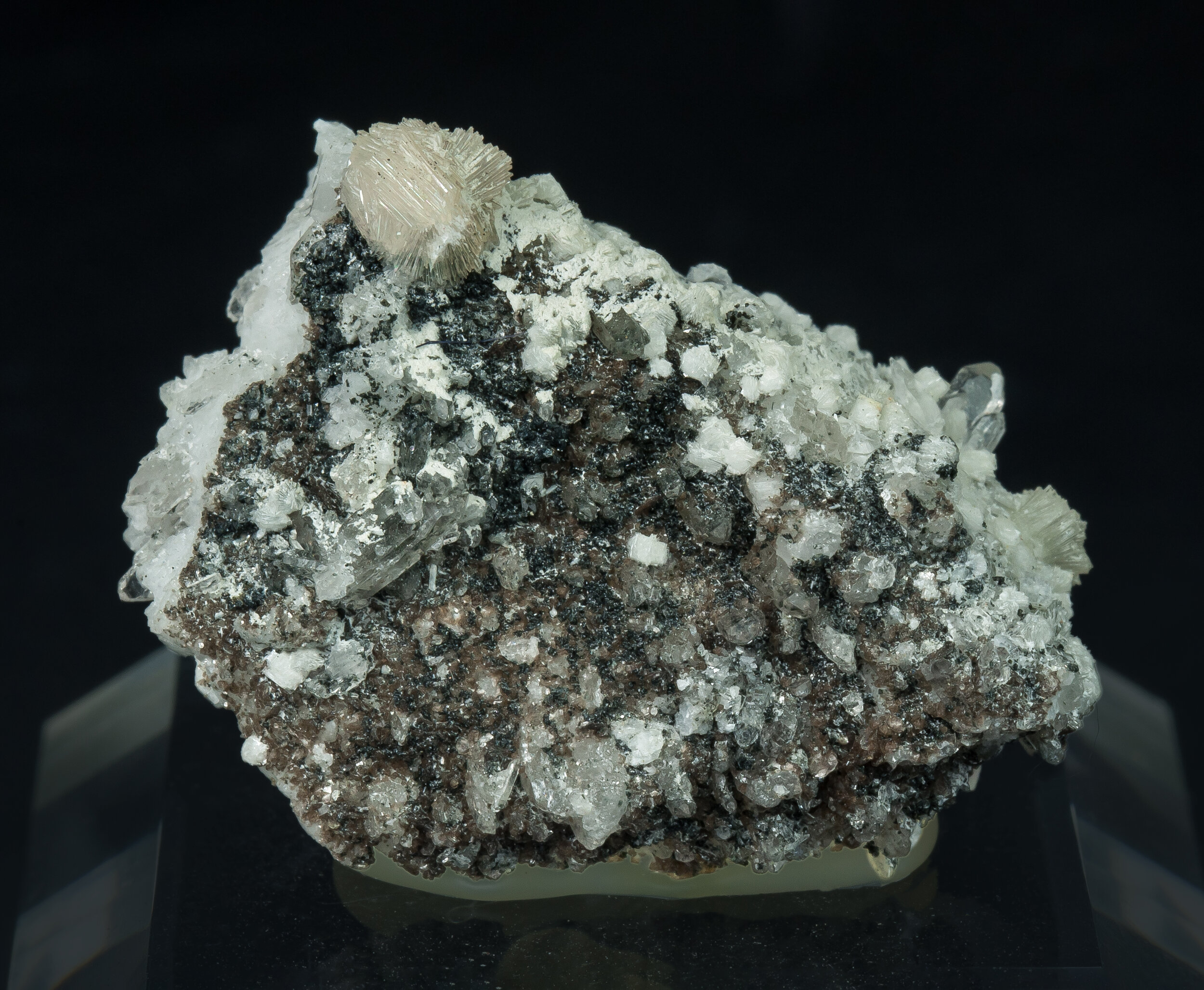 Bavenite, Albite, Chlorite, Quartz - Venero I Quarry (Cadalso I Quarry ...