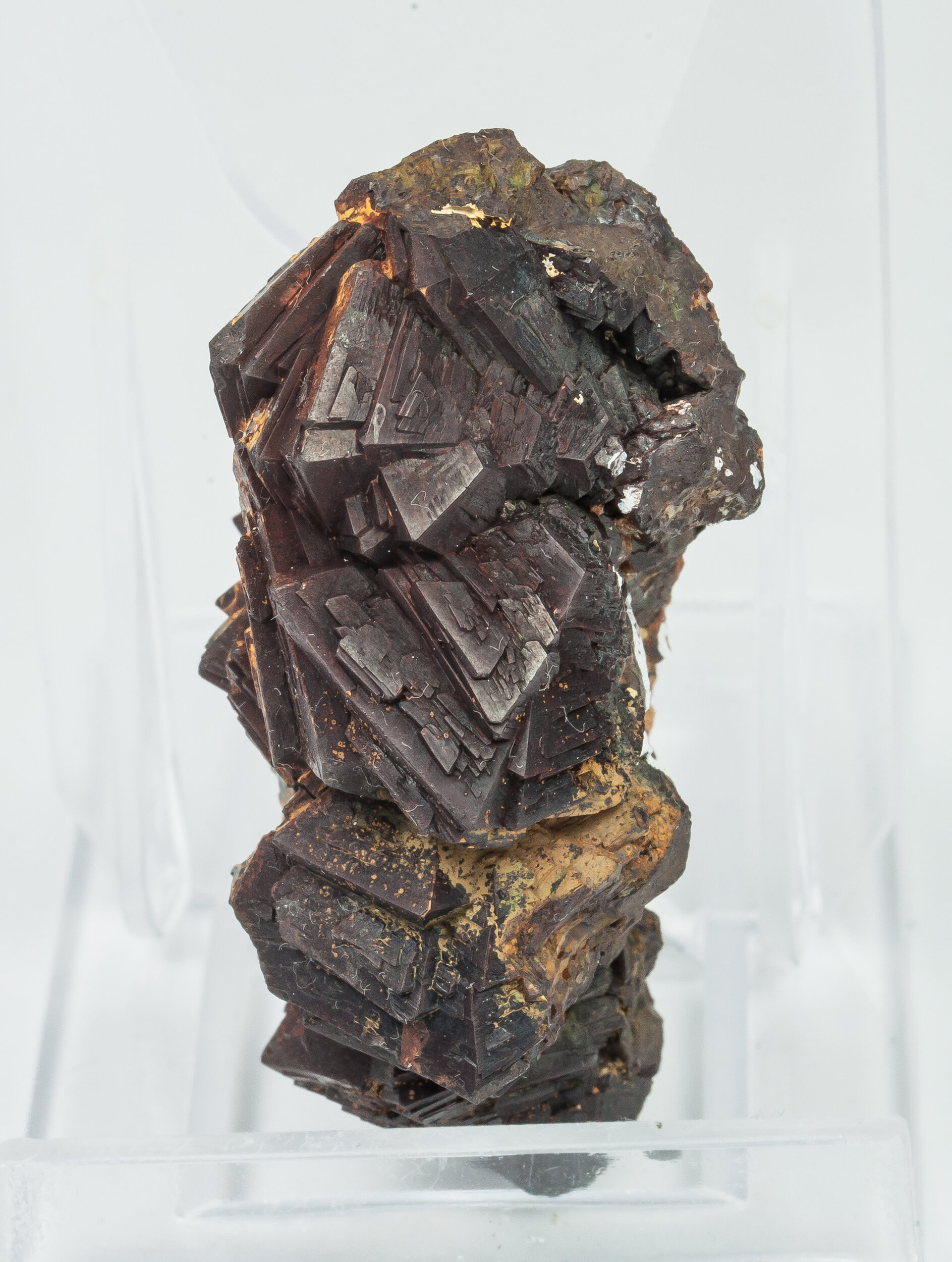 Goethite after Marcasite - San Vicente Mine, Lucena del Cid, Comarca ...