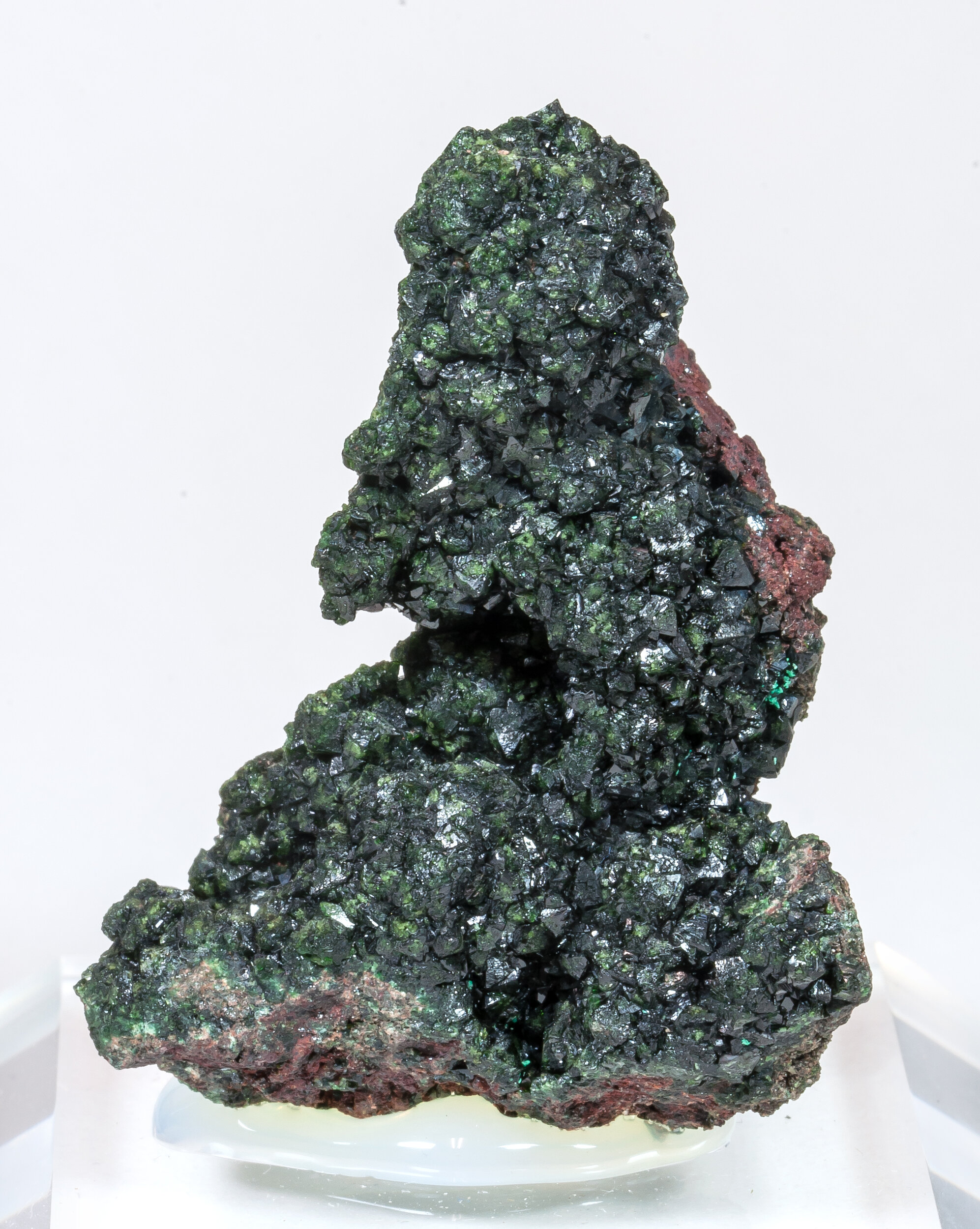 Libethenite - Kambove District, Katanga Copper Crescent, Katanga (Shaba ...