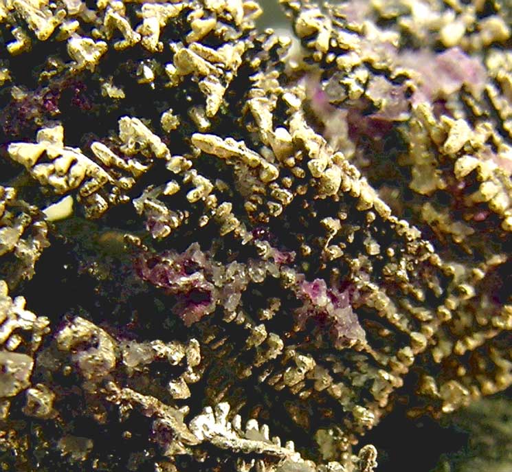 Silver with Fluorite - El Bonanza Mine, Port Radium District, Great ...