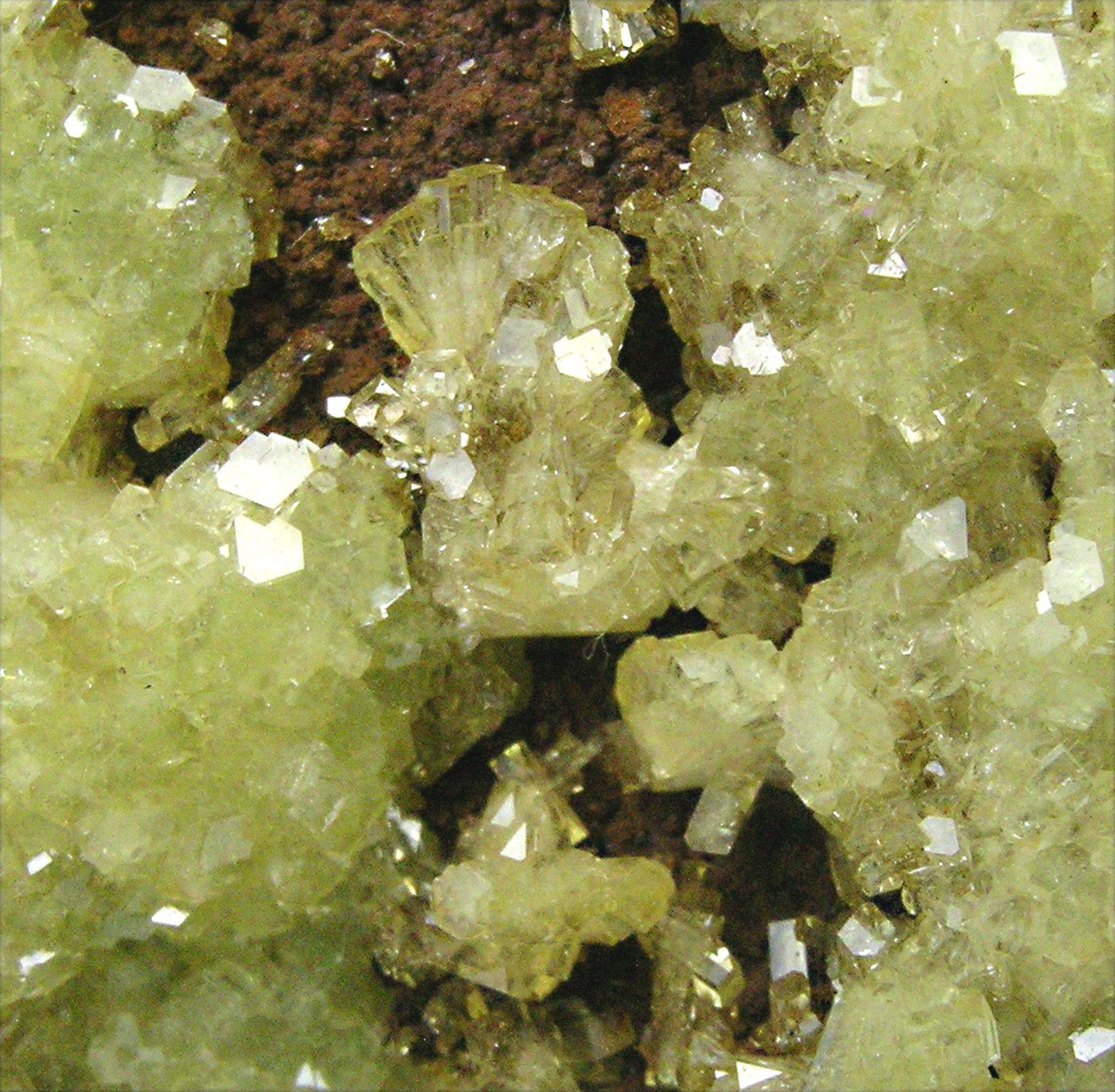 Adamite - Ojuela Mine, Mapimí, Municipio Mapimí, Durango Mexico | Fabre ...
