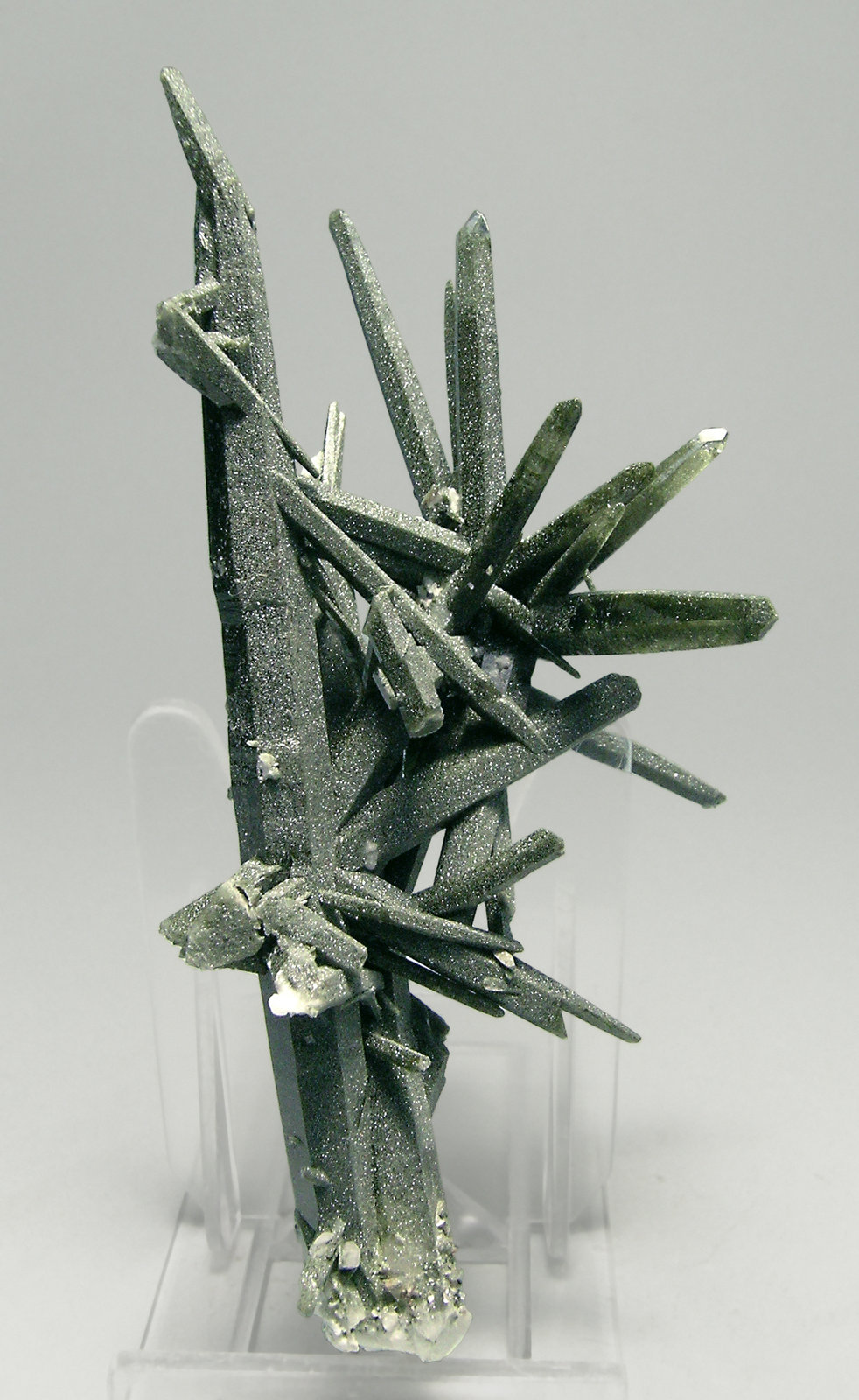 Quartz with Chlorite - Ganesh Himal, Dhading District, Bagmati Pradesh ...