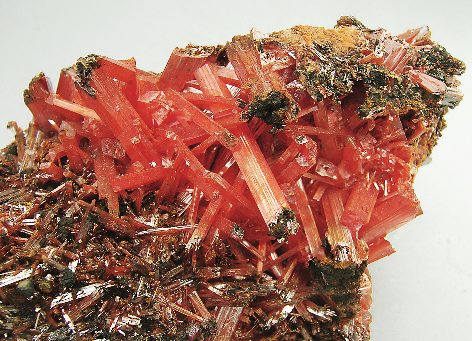 Crocoite - Adelaida Mine, Dundas, Tasmania Australia | Fabre Minerals