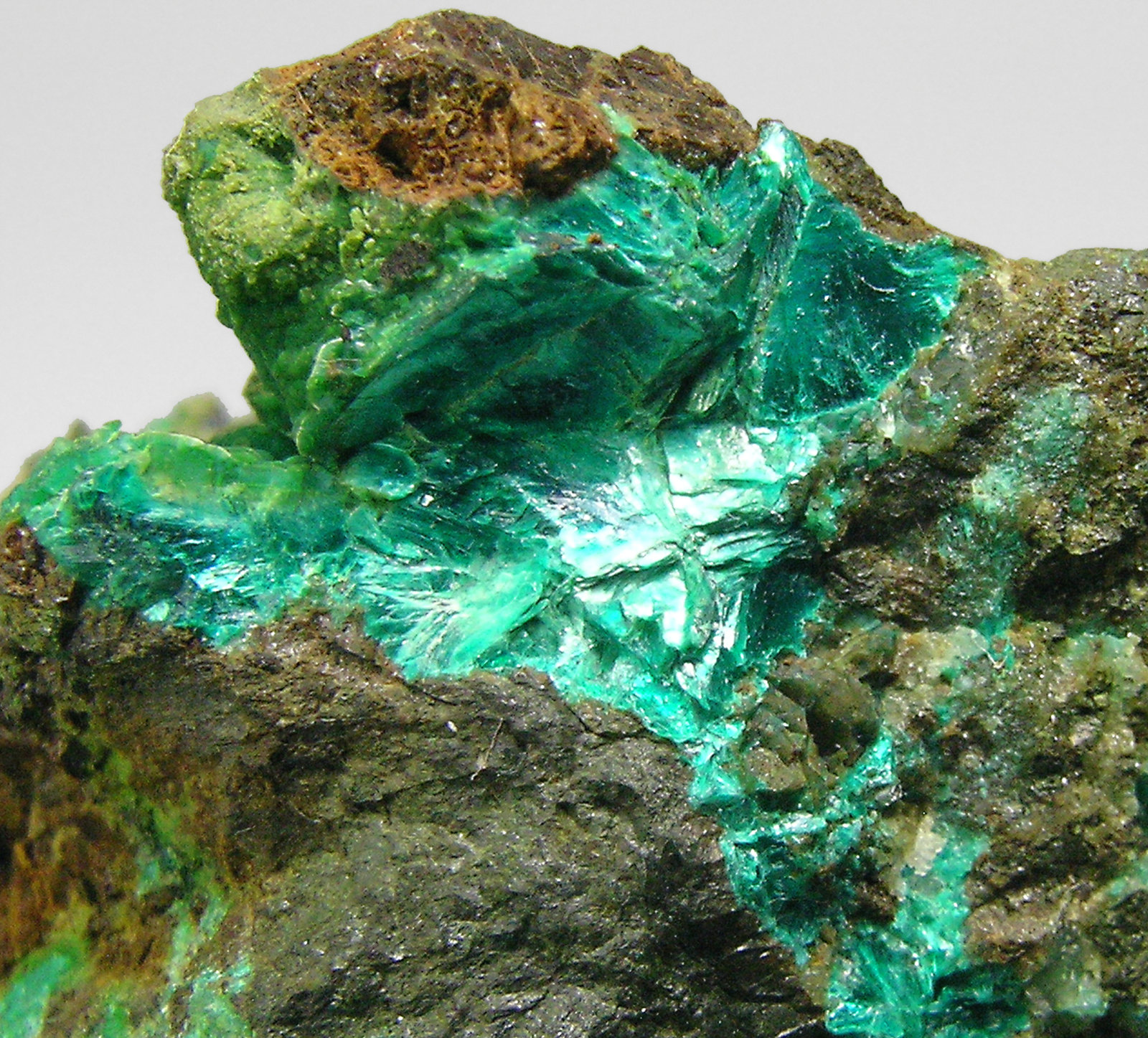 Tyrolite - Delfina Mine, Hoyos de Alda, Ortiguero, Prado, Cabrales ...