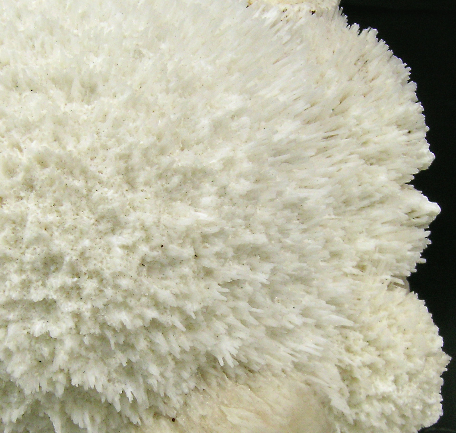 Mesolite with Stilbite-Ca - Kannad, Aurangabad District, Maharashtra ...