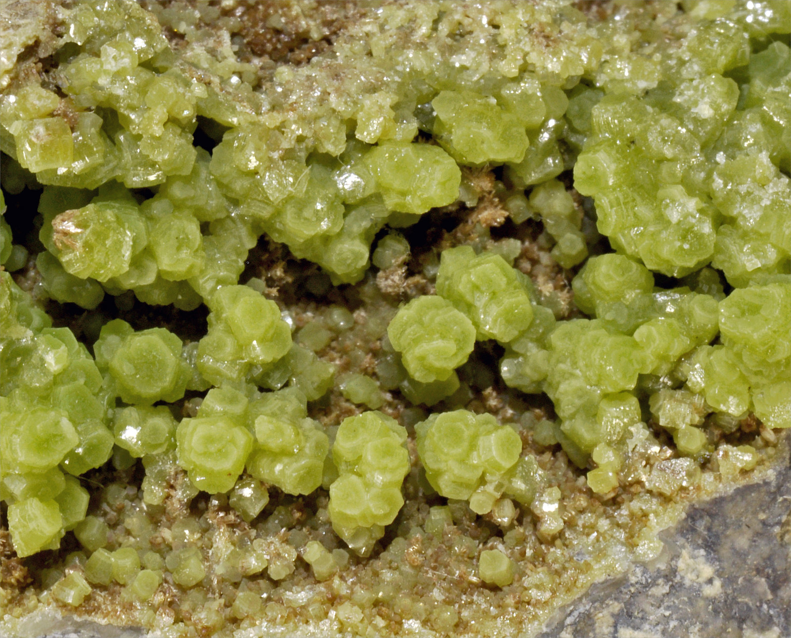 Pyromorphite - Cornwall United Kingdom | Fabre Minerals