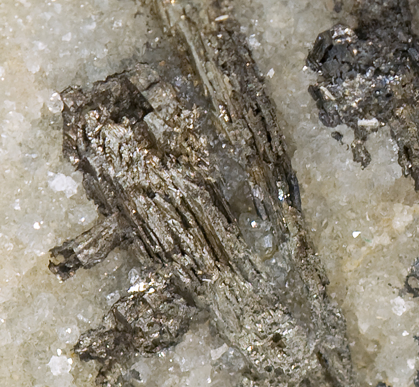 Sylvanite with Quartz - Baia de Aries (Offenbánya), Apuseni mountains ...