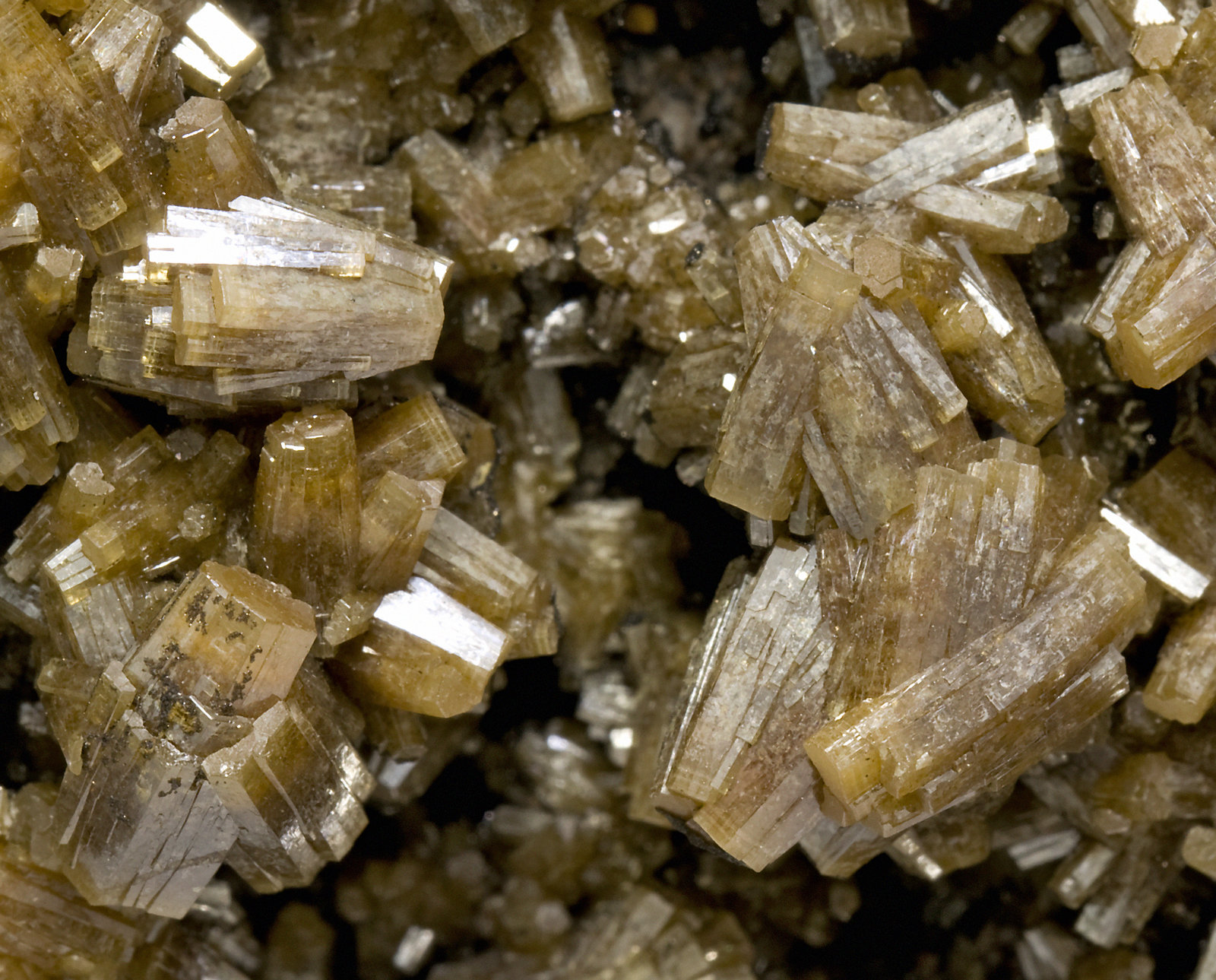 Vanadinite (variety arsenic-bearing vanadinite) with Mottramite ...