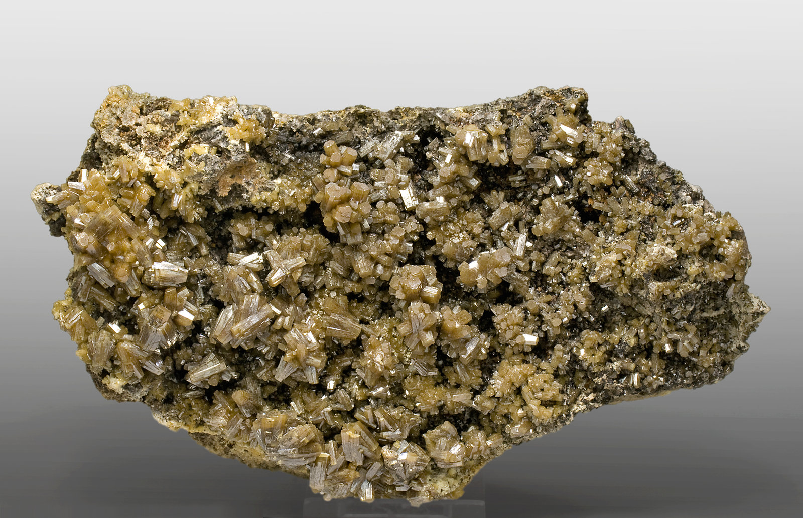 Vanadinite (variety arsenic-bearing vanadinite) with Mottramite ...