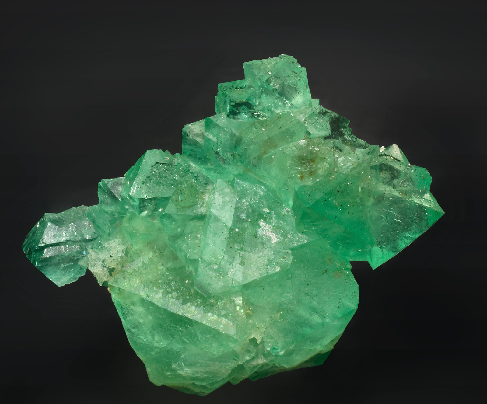 Fluorita Mineral Specimen - Large Photo - Fabre Minerals